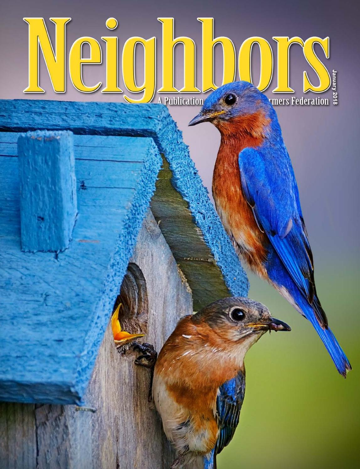 Neighbors Magazine, January 2018 by Alabama Farmers Federation - Issuu