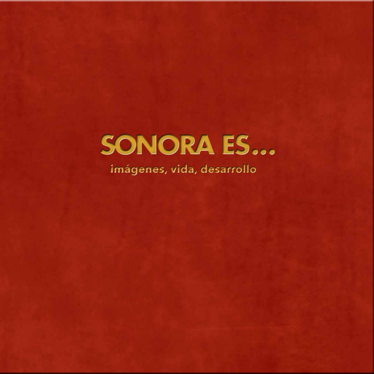 Libro SonoraEs... by Imagenes de Sonora - Issuu