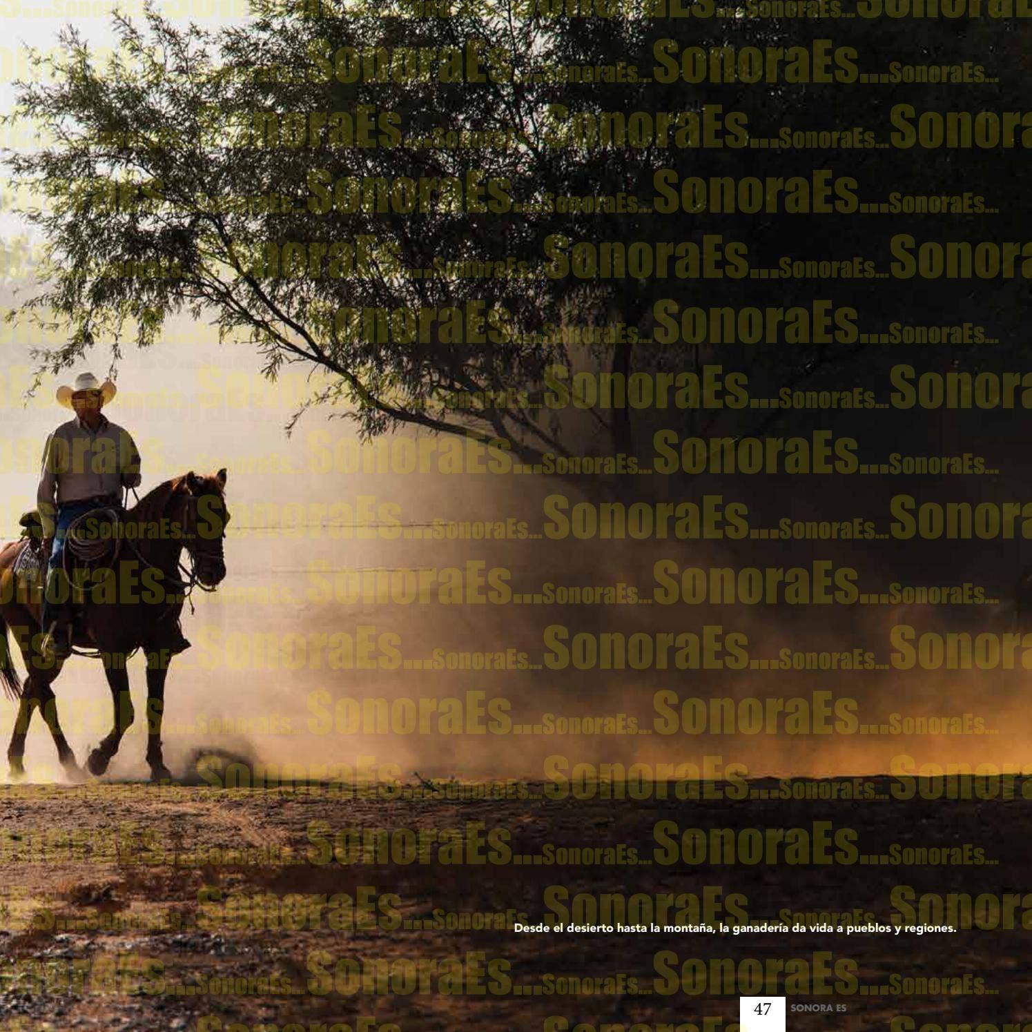 Libro SonoraEs... by Imagenes de Sonora - Issuu