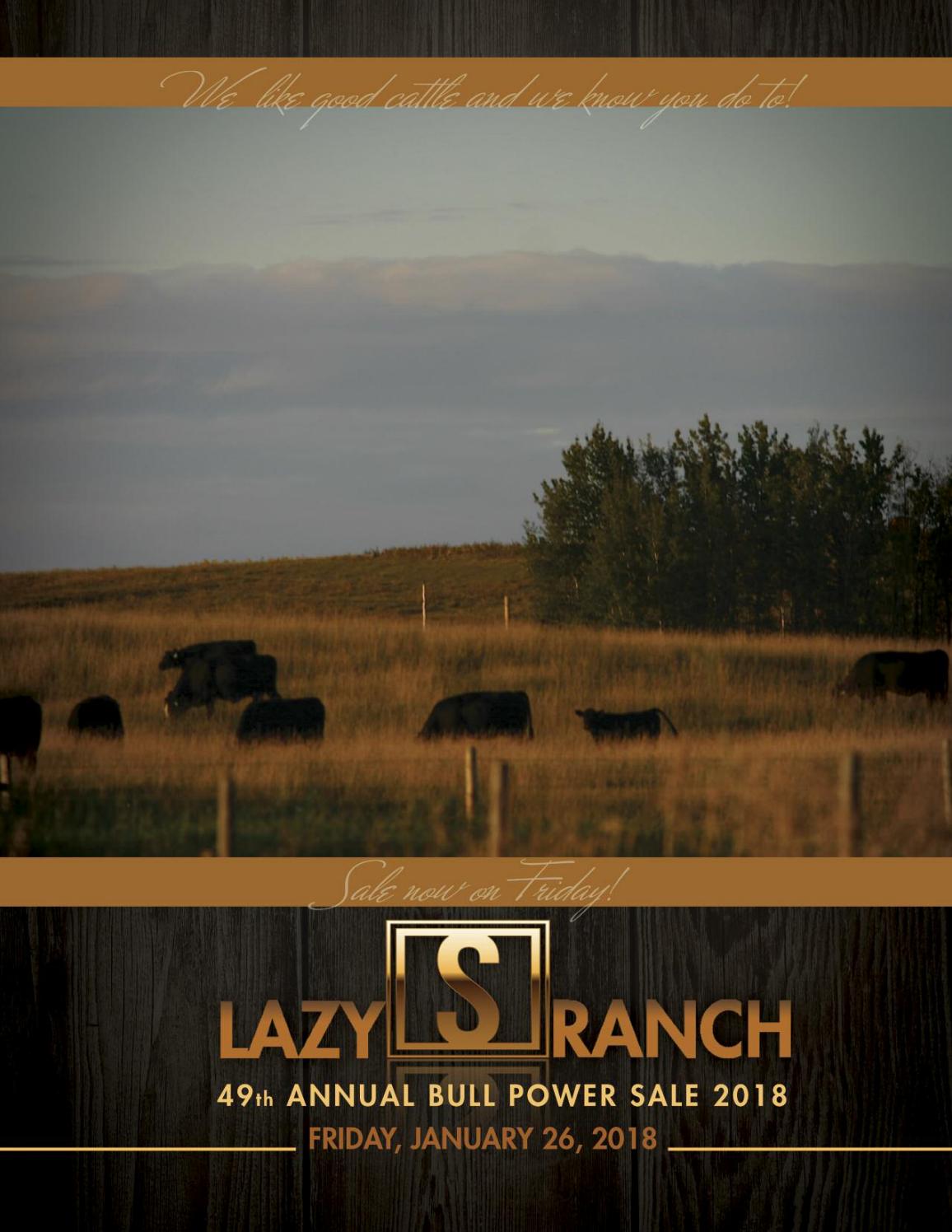 Lazy S Ranch 2018 Bull Power Sale by Kim Matthews - Issuu