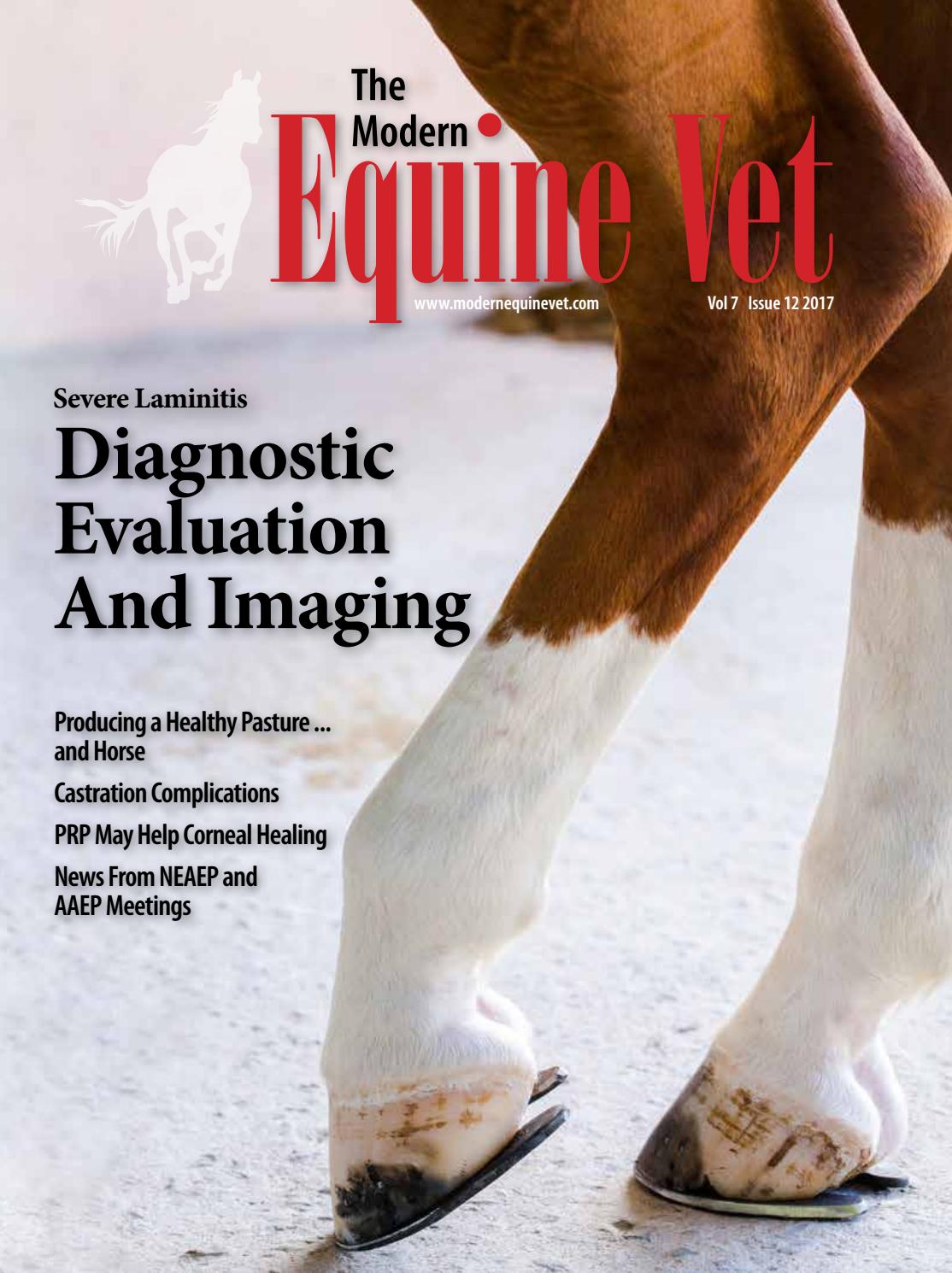 The Modern Equine Vet December 2017 by The Modern Equine Vet - Issuu