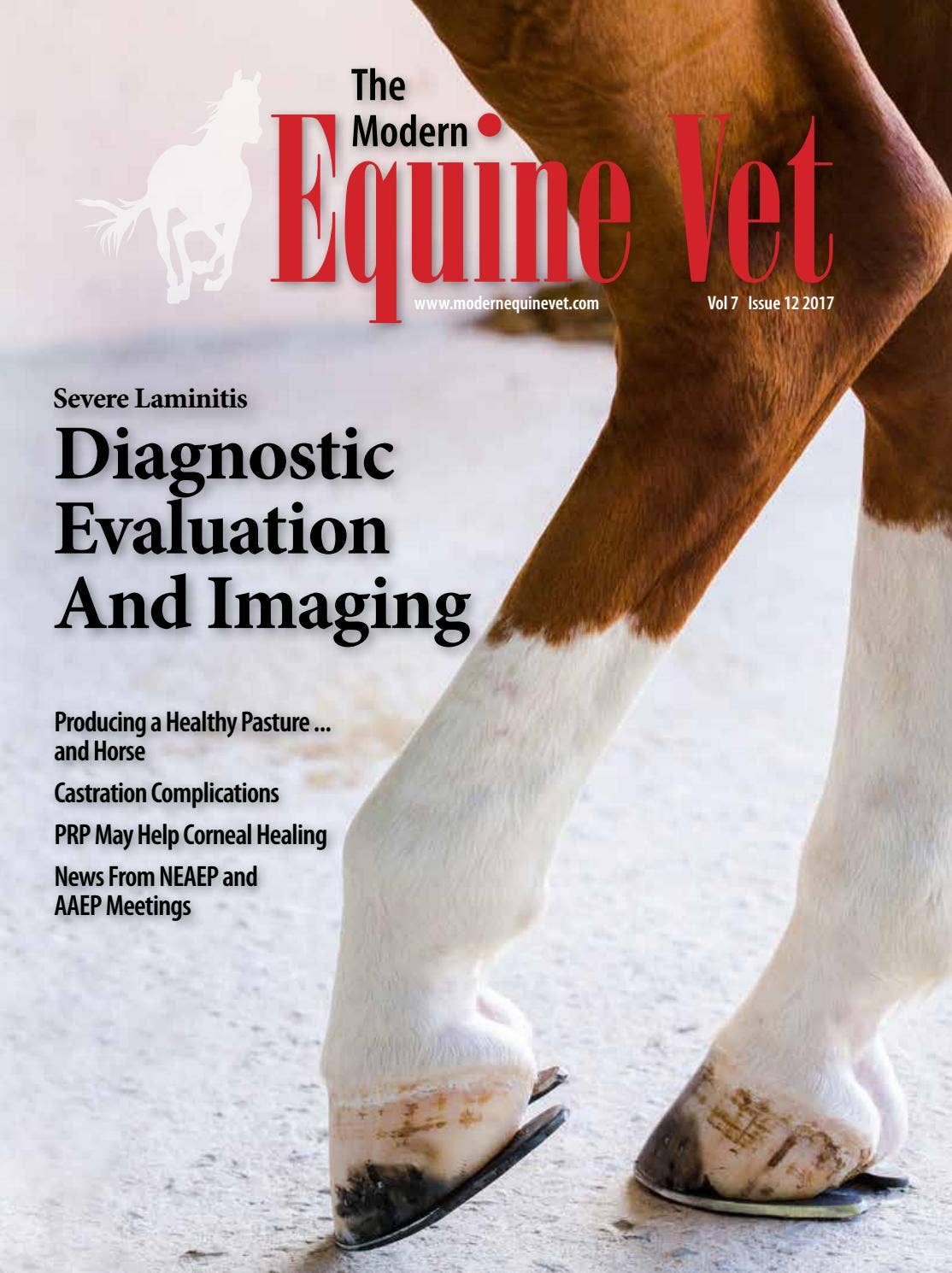 The Modern Equine Vet December 2017 by The Modern Equine Vet - Issuu