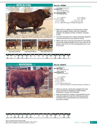 GENEX Beef Genetic Management Guide by GENEX - Issuu