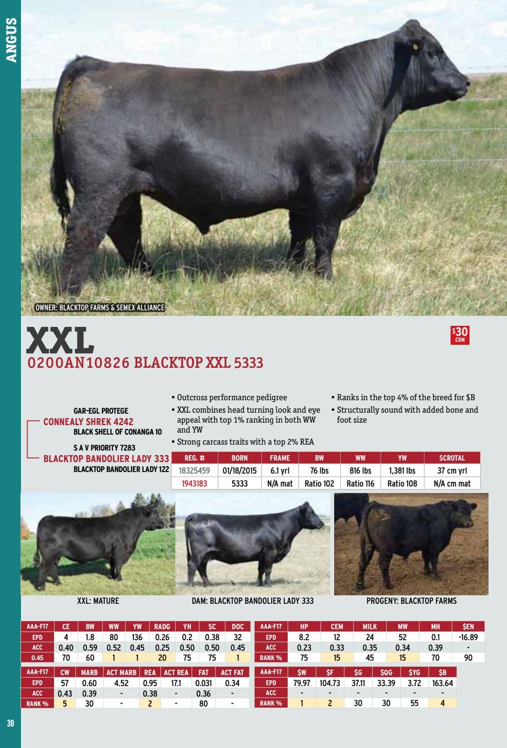 Semex Beef - 2018 Management Handbook - Canada by Semex - Issuu
