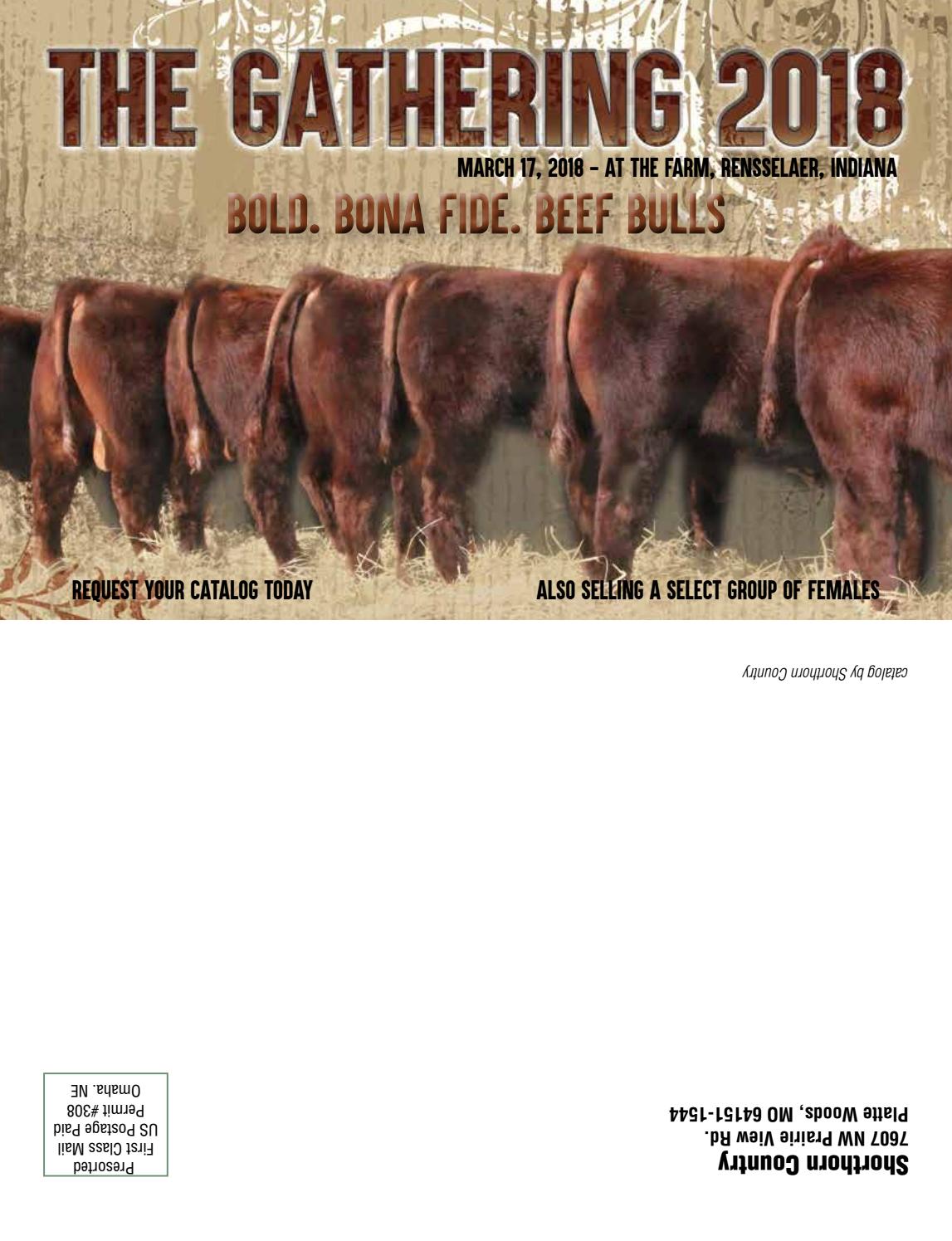 Waukaru bull flyer 2018 by SCI - Stephanie Cronin, INC - Issuu