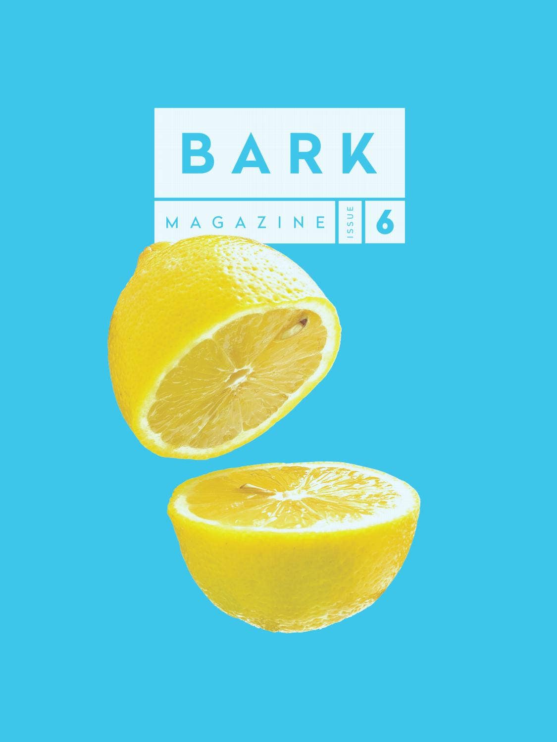 BARK Magazine 6 by Spindogs - Issuu