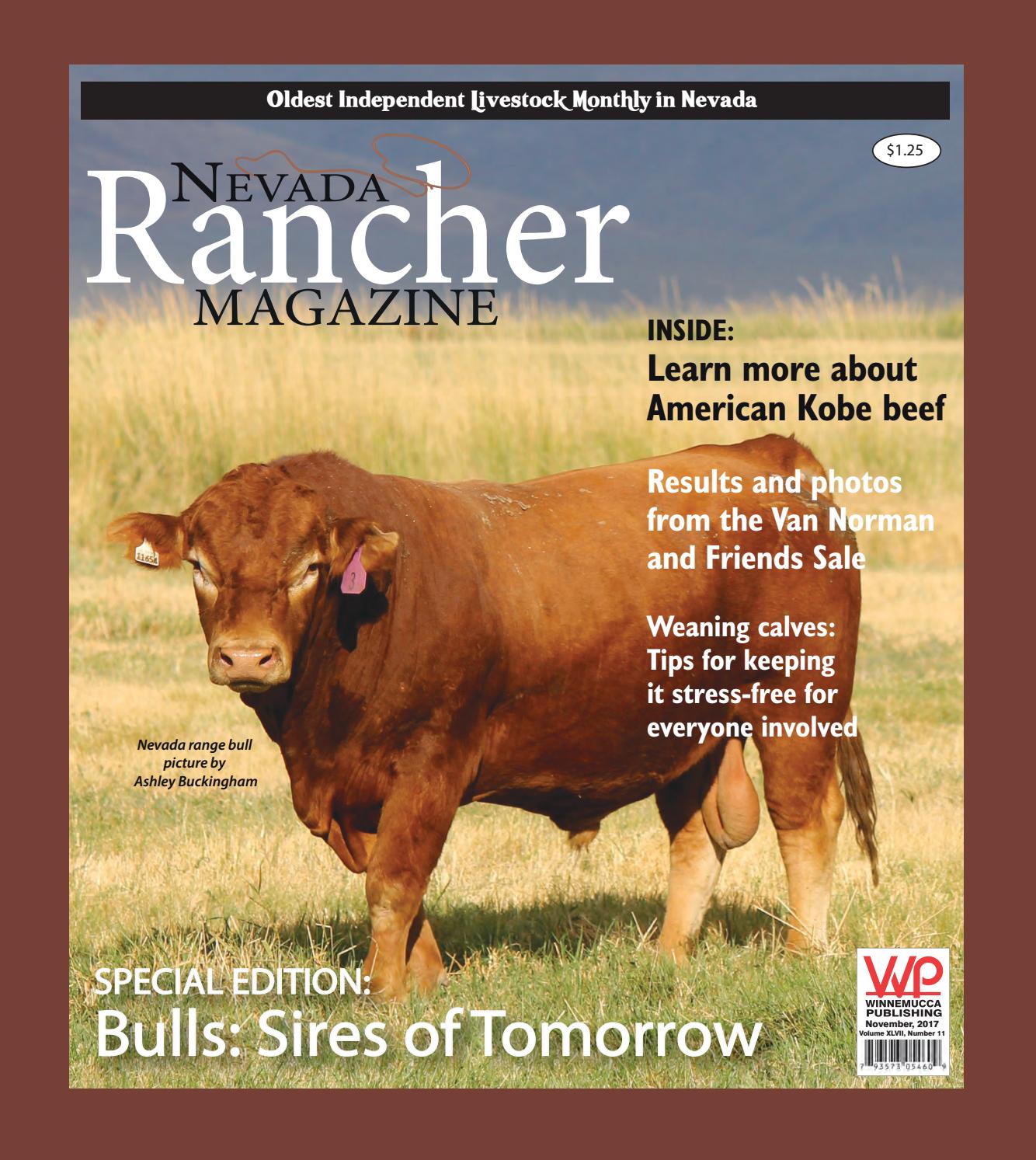 Nevada Rancher Magazine Nov. 2017 by Winnemucca Publishing - Issuu