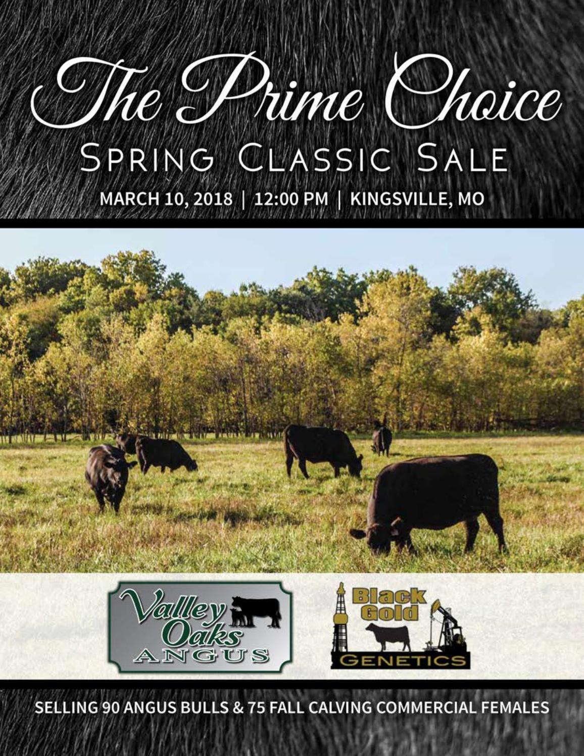 The Prime Choice Spring Classic Sale - 2018 by Generation 6 Marketing ...