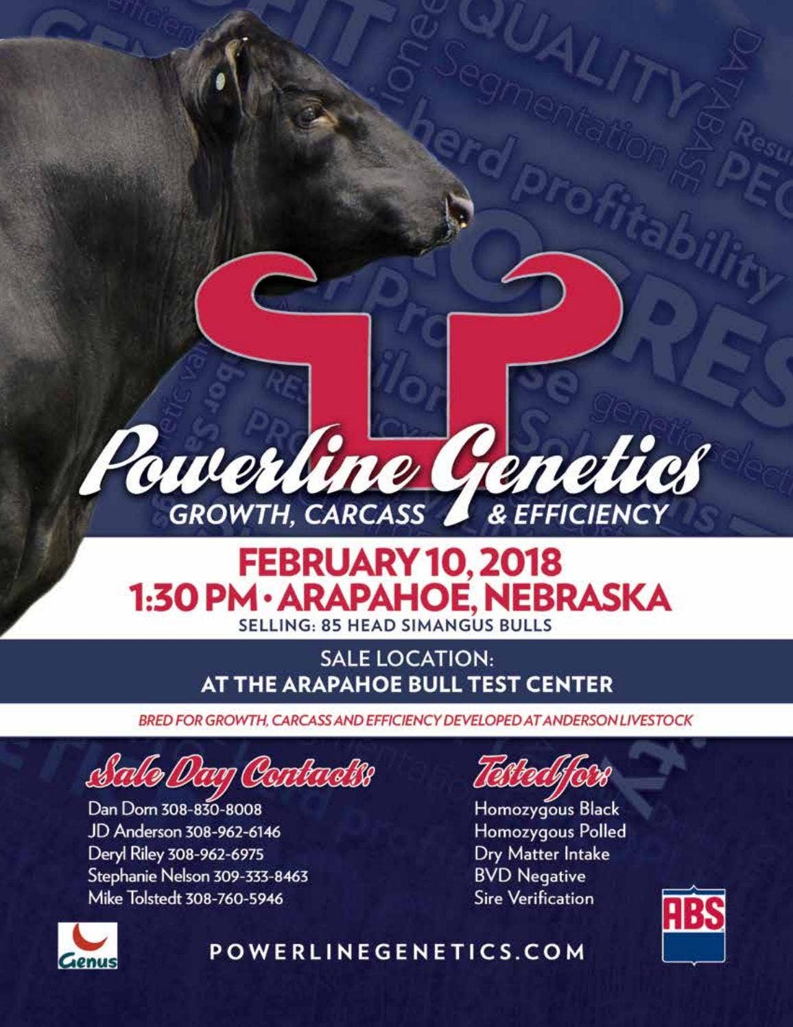 Powerline Genetics Nebraska Sale Catalog by Ranch House Designs - Issuu