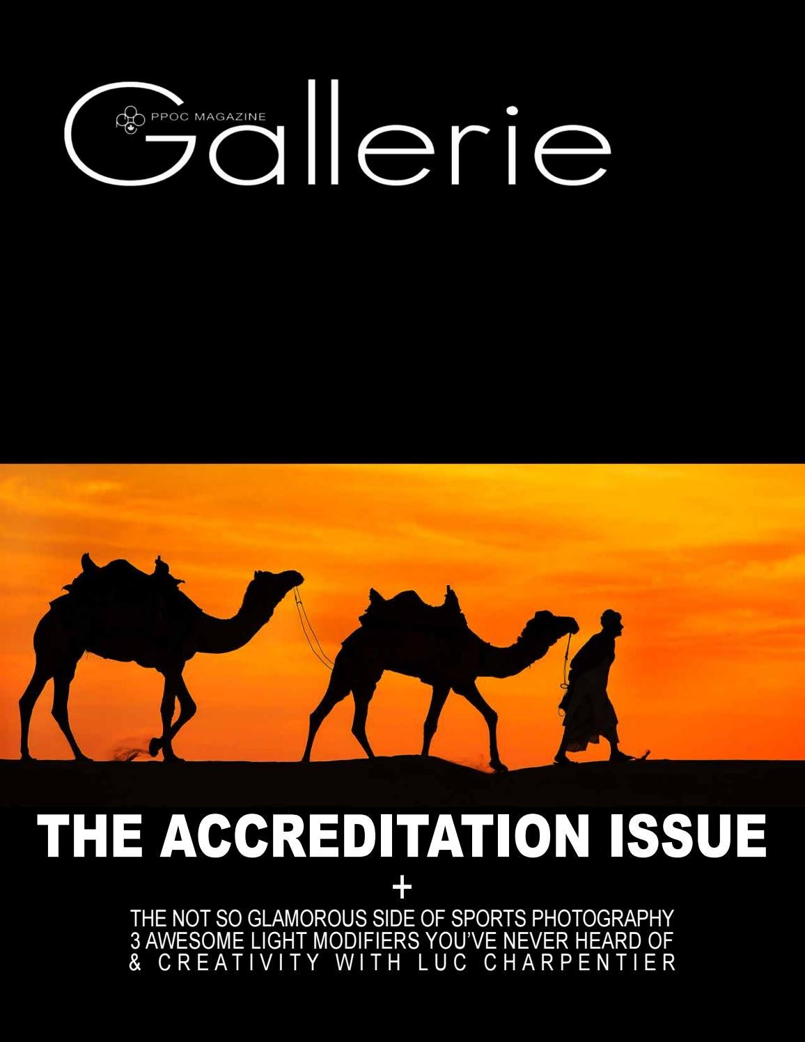 2017 Gallerie Magazine Fall Issue - English by Professional ...