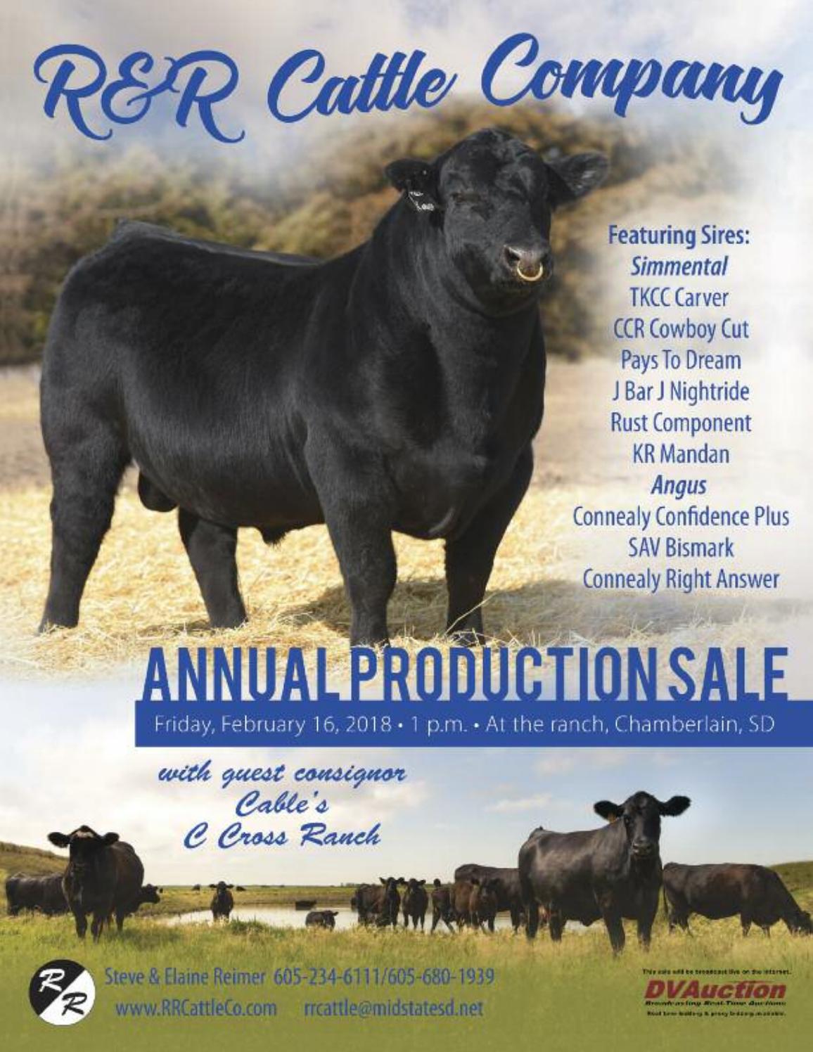 R & R Cattle Company Annual Production Sale by American Simmental ...