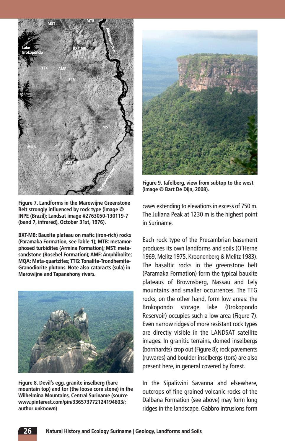 Natural History and Ecology of suriname by LM Publishers - Issuu