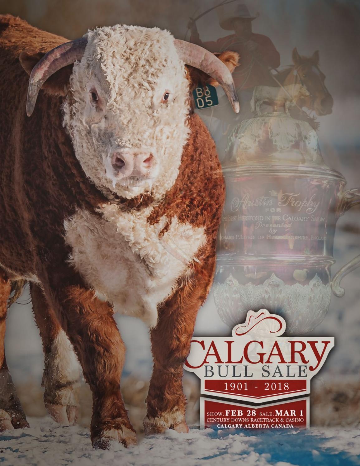 Calgary Bull Sale 2018 by Bella Spur Creative - Issuu