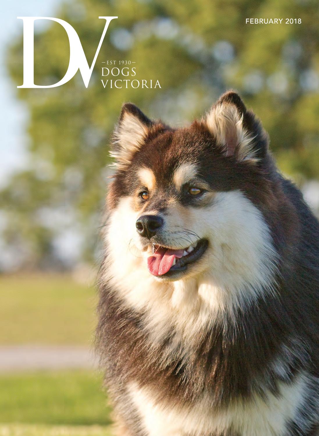 Dogs Victoria Magazine - February 2018 by Dogs Victoria - Issuu