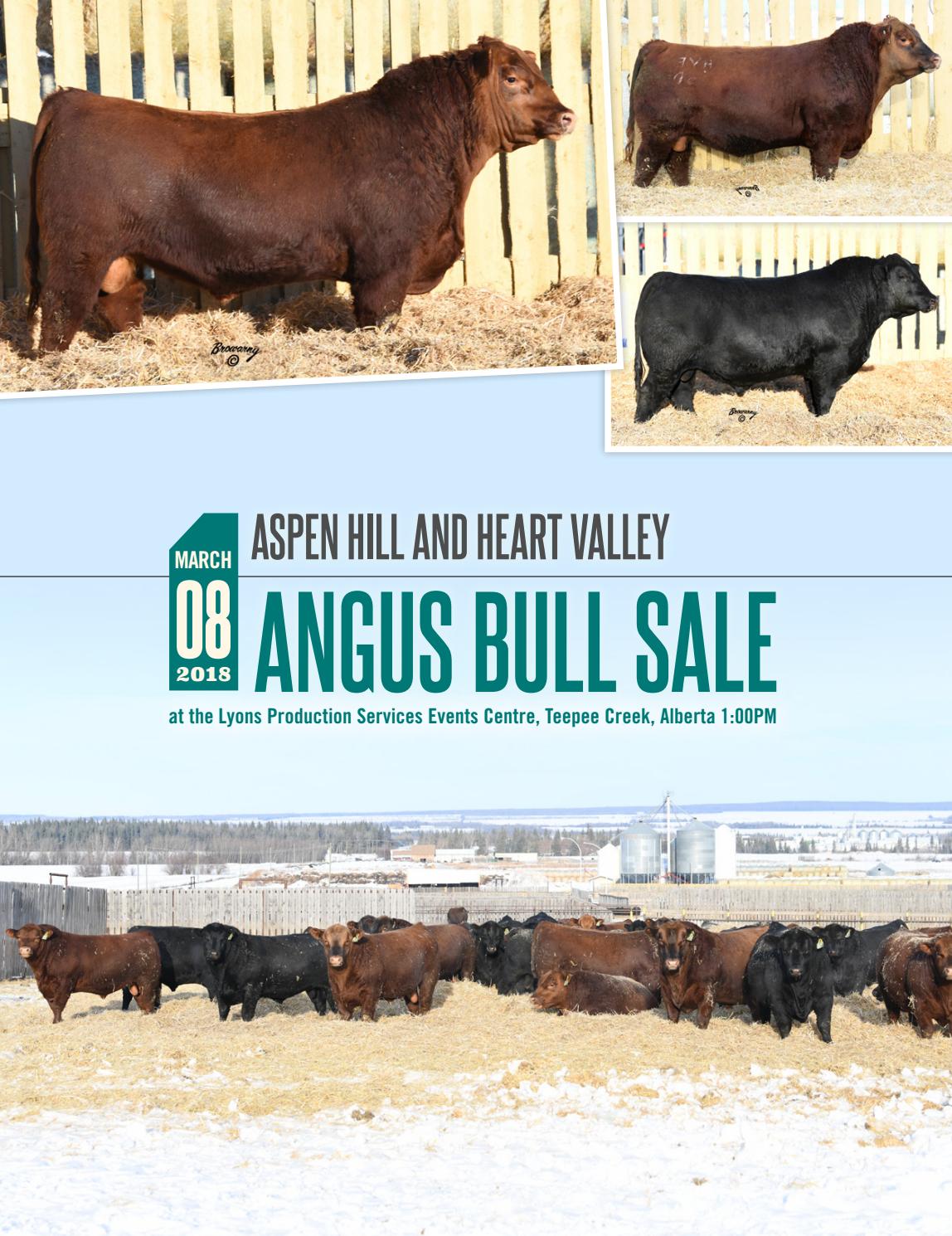 Aspen Hill & Heart Valley Angus 2018 Bull Sale by Catalogs by Top Stock ...