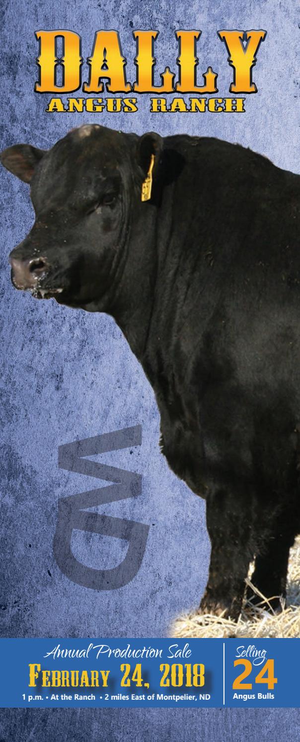 Dally Angus - 2018 Bull Sale Catalog by LivestockDirect - Issuu
