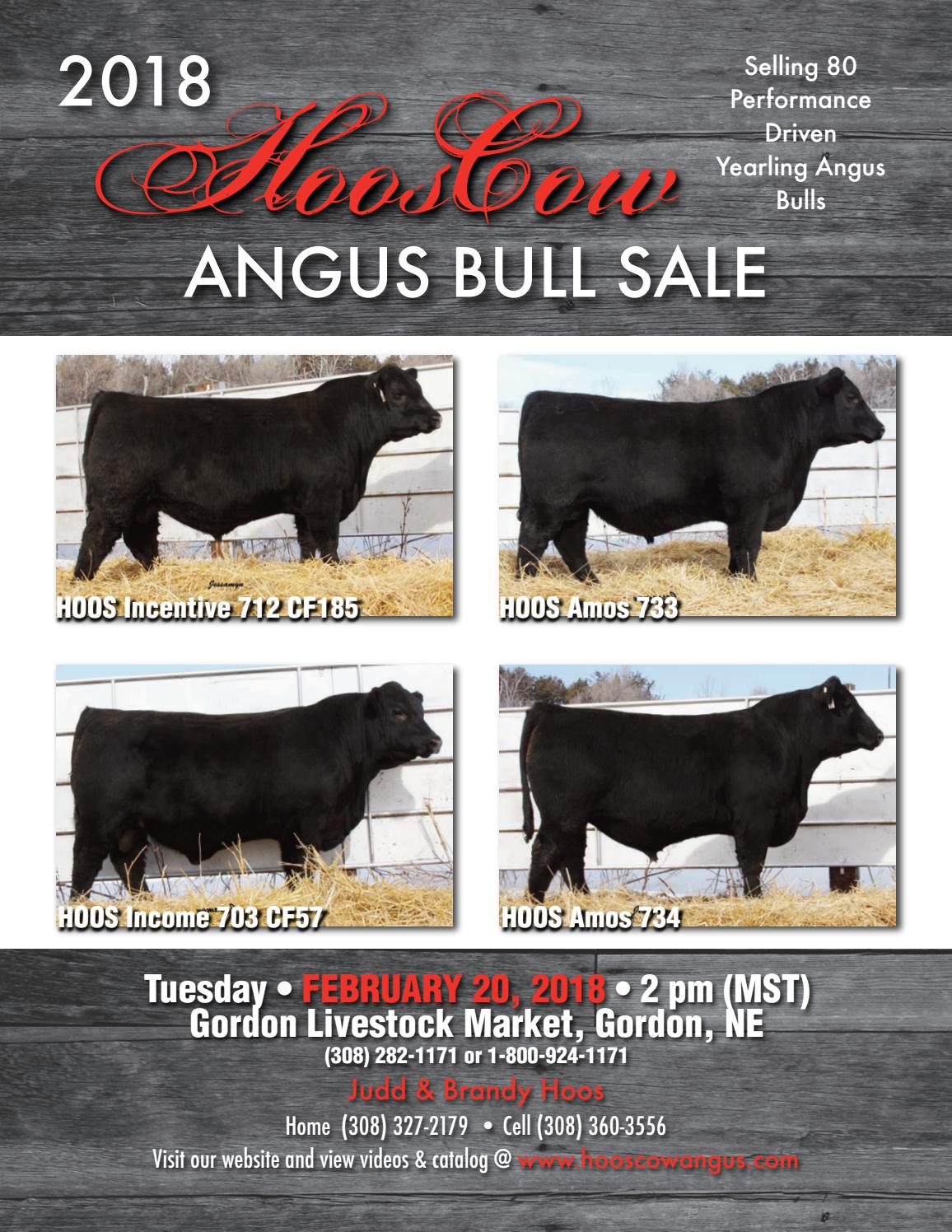 HoosCow Angus - 2018 Bull Sale Catalog by LivestockDirect - Issuu