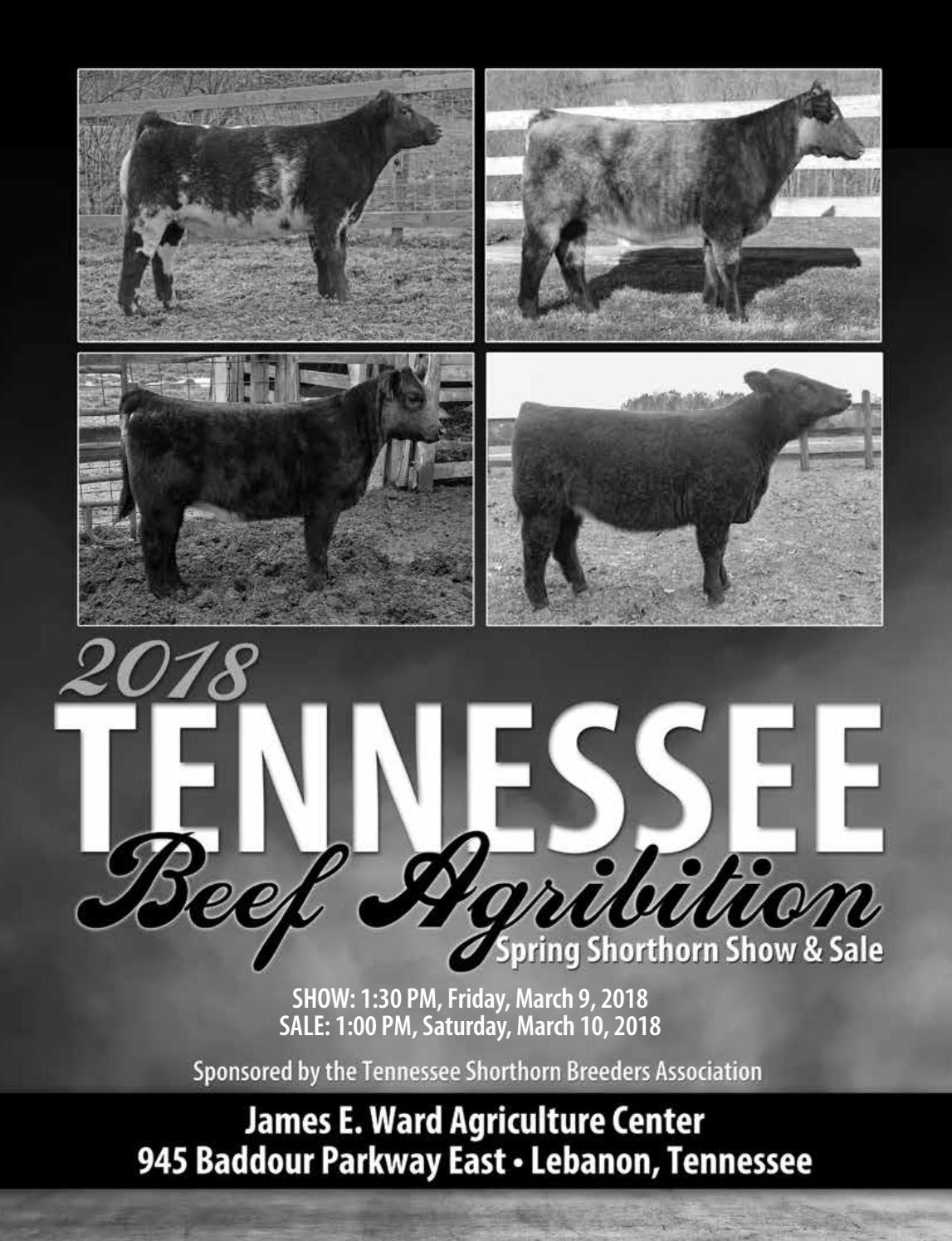 2018 Tennessee Beef Agribition by SCI - Stephanie Cronin, INC - Issuu
