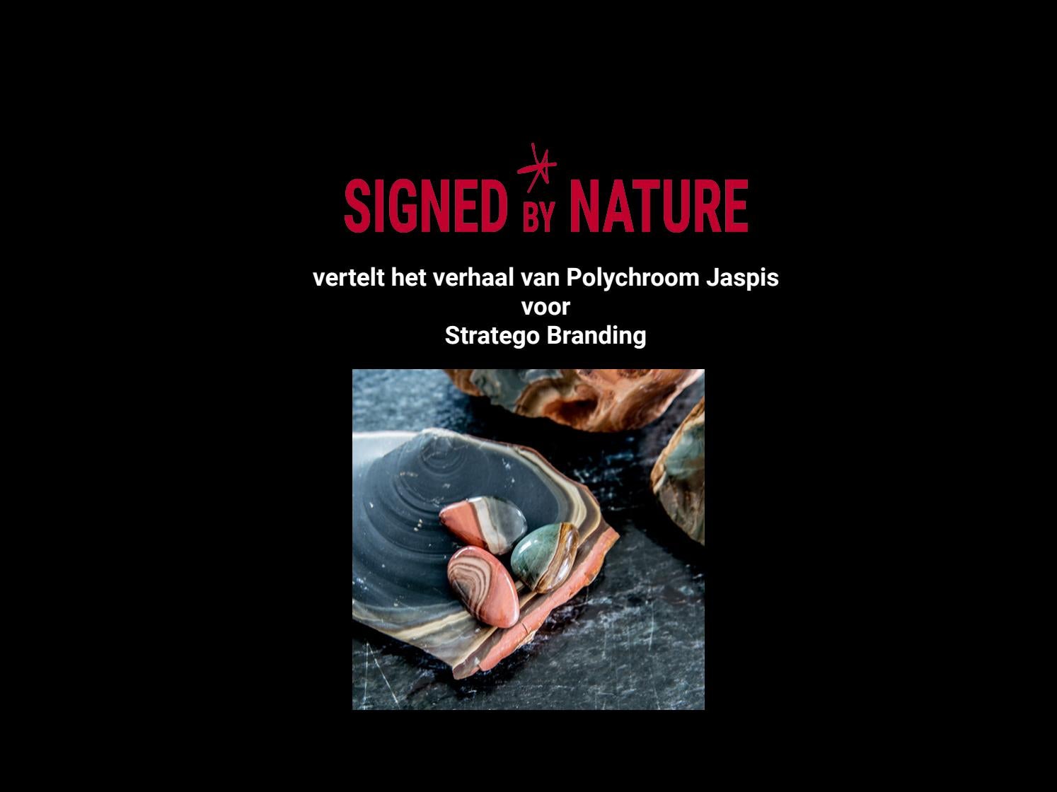 The story of Polychroom Jaspis by Signed by Nature - Issuu