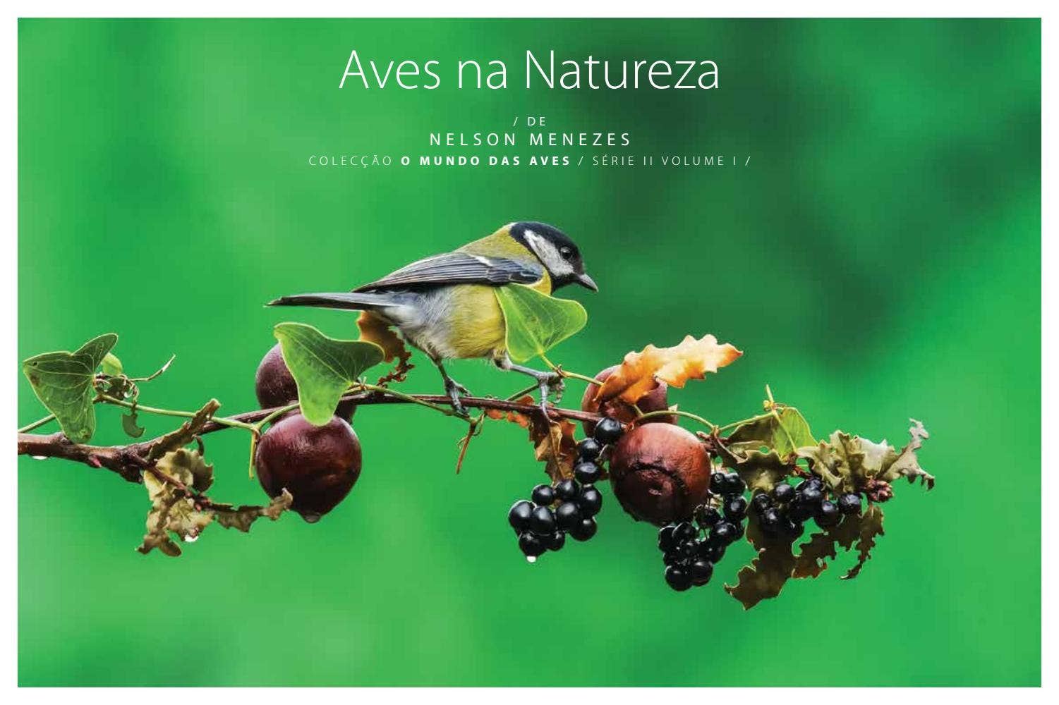 "Aves na Natureza", de Nelson Menezes by Jorge Pinto Guedes - Issuu