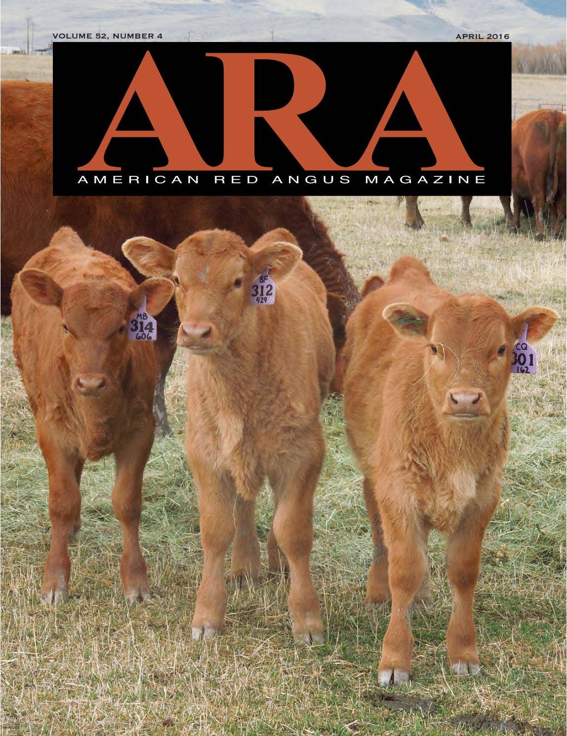 American Red Angus Magazine: April 2016 by Red Angus Association of ...