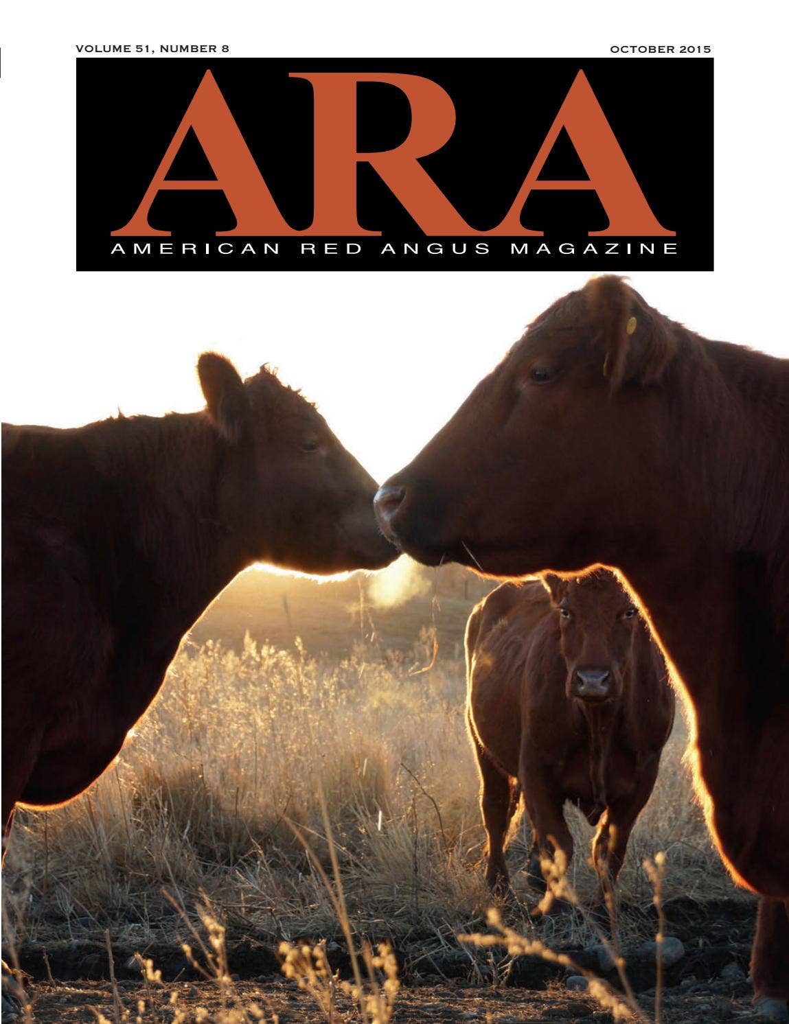 American Red Angus Magazine: October 2015 by Red Angus Association of ...