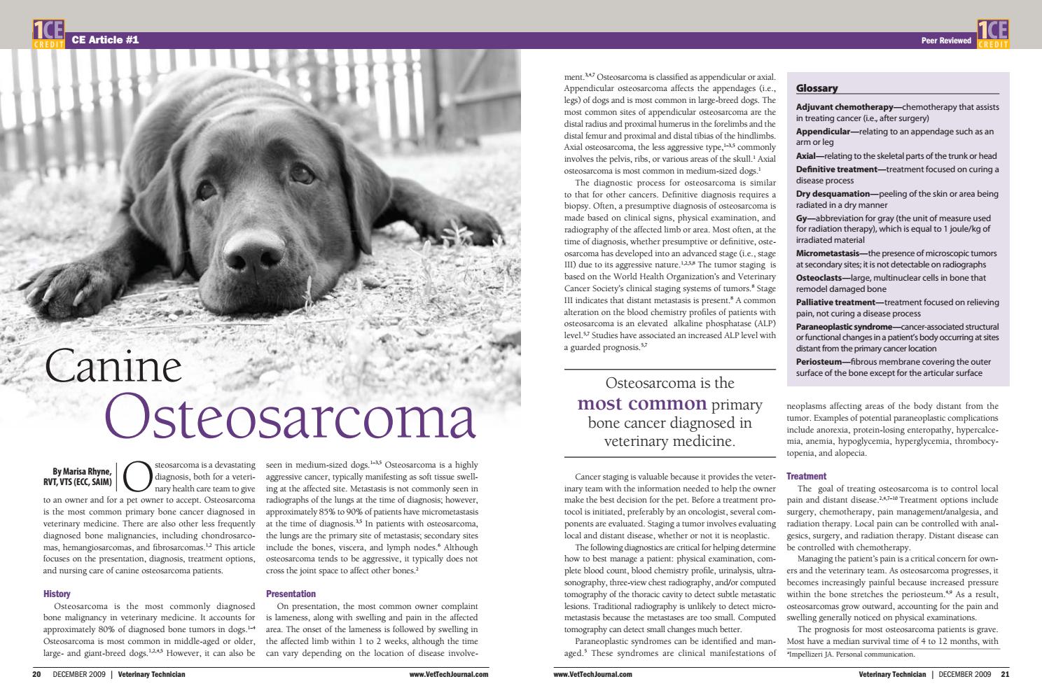 Veterinary Technician Journal | Continuing Education Article by ...