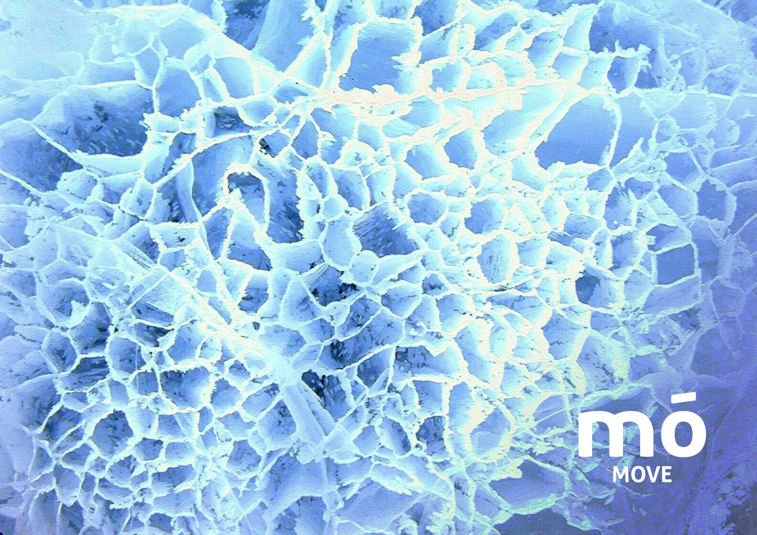 mo MOVE August 2015 by Occularium, Inc. - Issuu