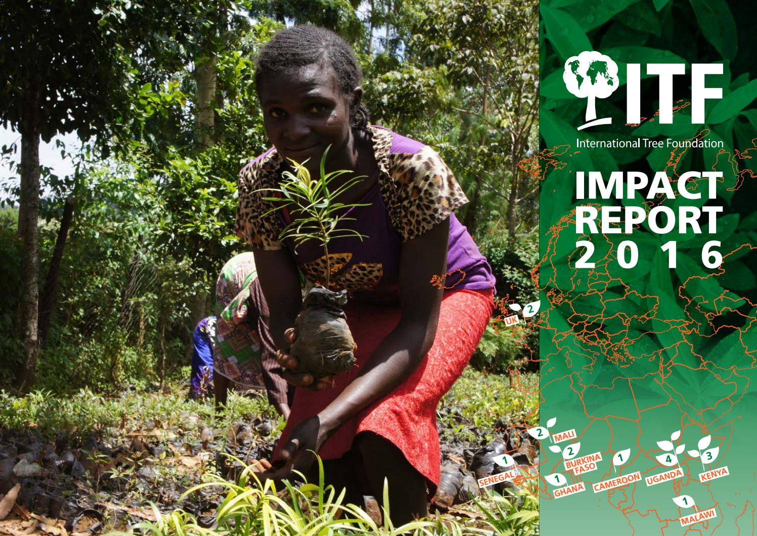 ITF Impact Report 2016 by International Tree Foundation - Issuu