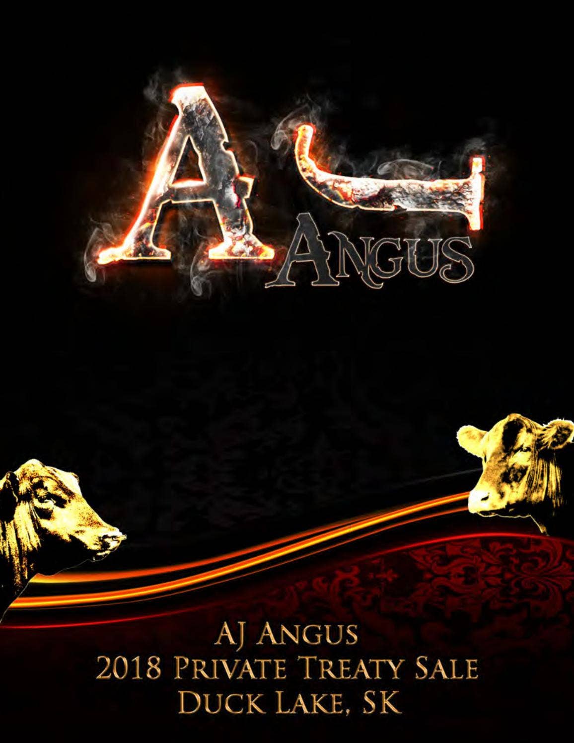 AJ Angus 2018 Bull Book by Today's Publishing Inc. - Issuu