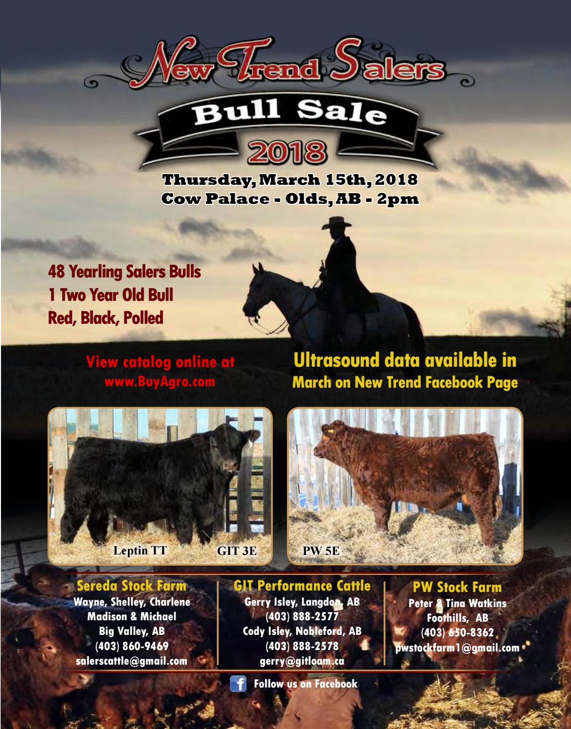 New Trend Salers Bull Sale 2018 by Today's Publishing Inc. - Issuu