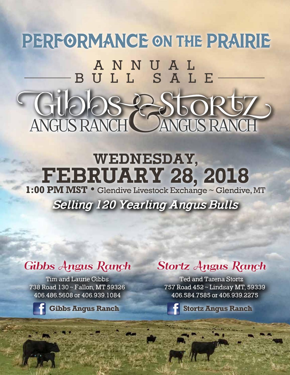 Gibbs-Stortz Catalog 2018 by Gibbs Angus Ranch - Issuu