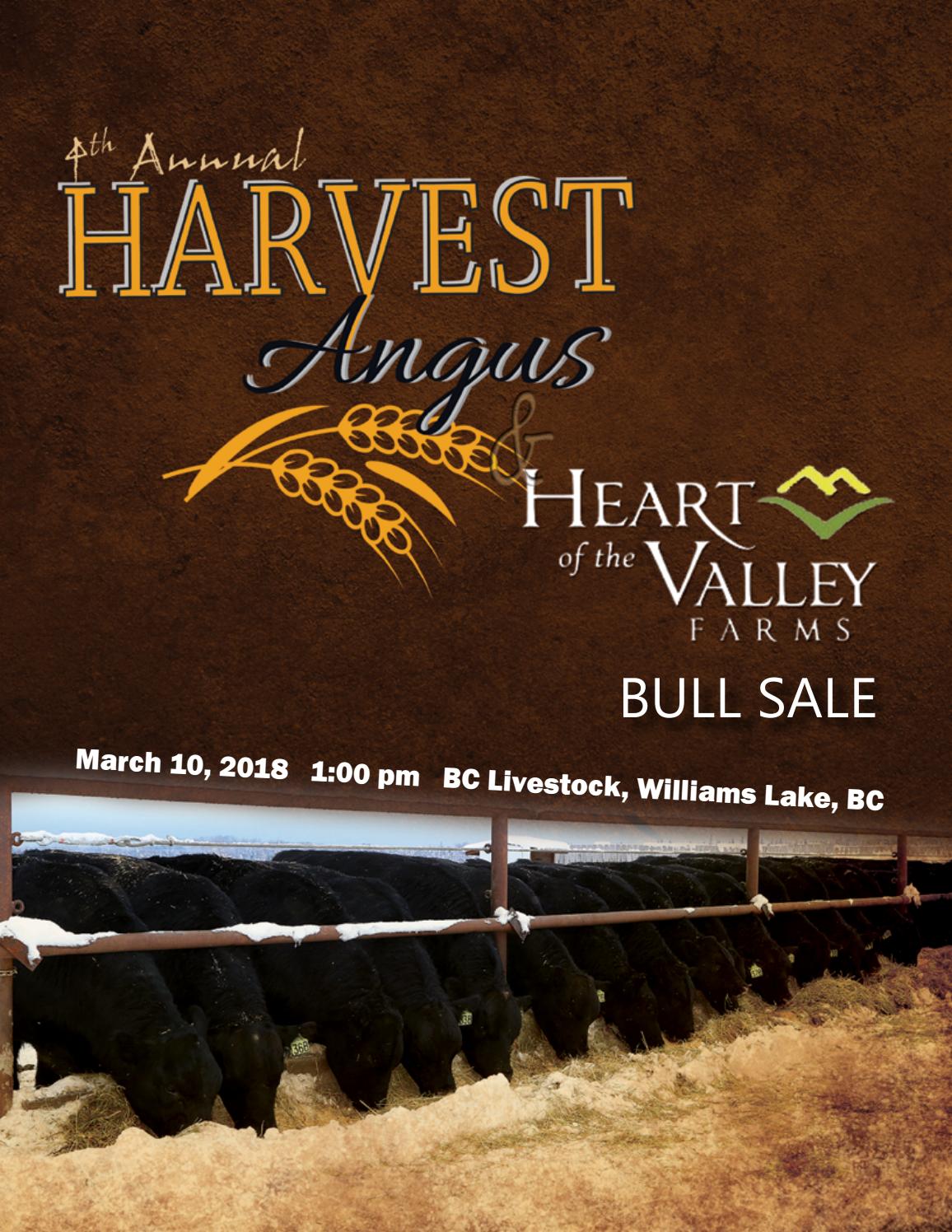 Harvest Angus Heart of the Valley Bull Sale Catalogue 2018 by Today's ...