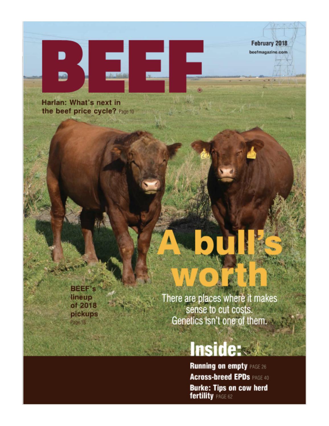 BEEF Magazine | Making The Ground Better by Sage Grouse Initiative - Issuu