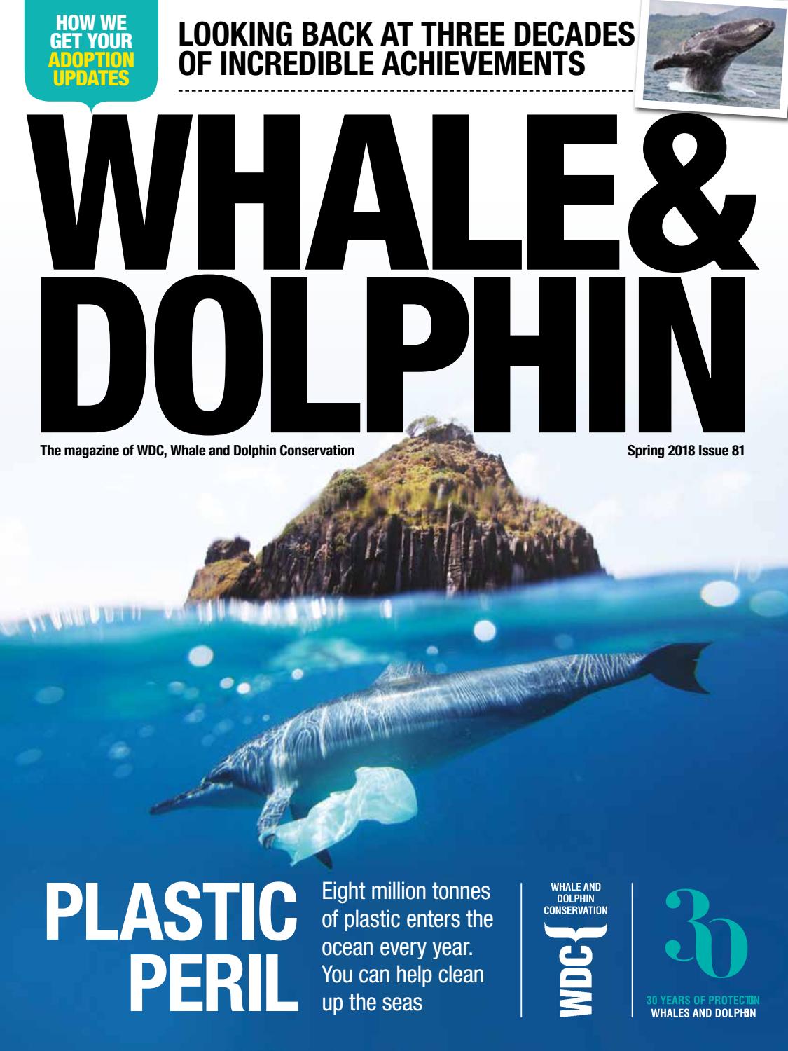 Whale and Dolphin Spring 2018 by Think Publishing - Issuu