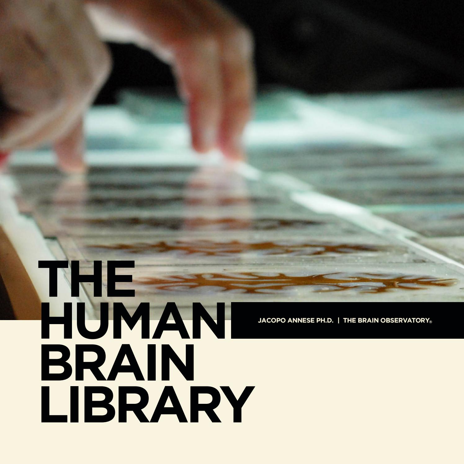 The Human Brain Library by The Brain Observatory - Issuu