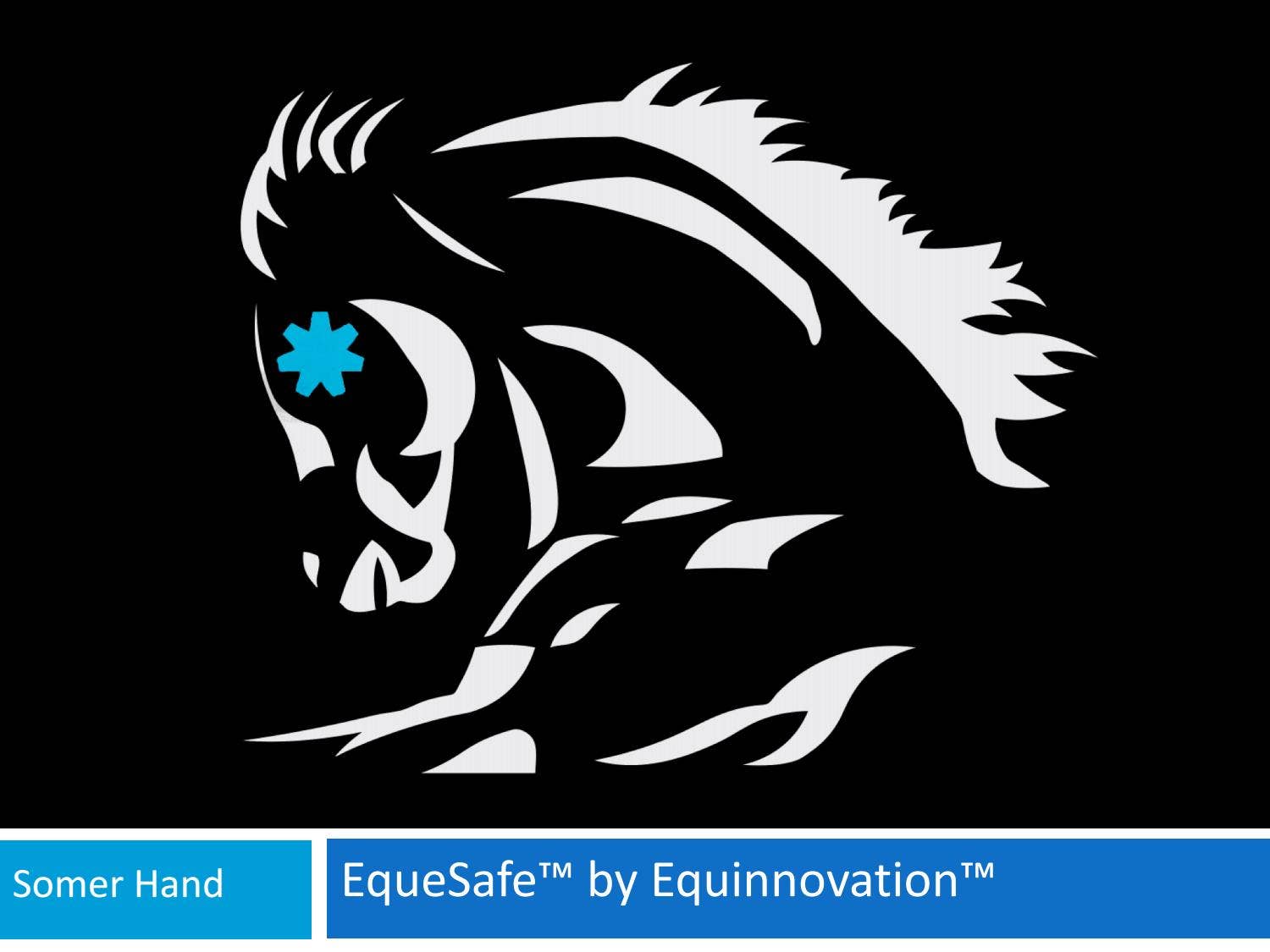 Equinnovation: Product Development by Somer Hand - Issuu