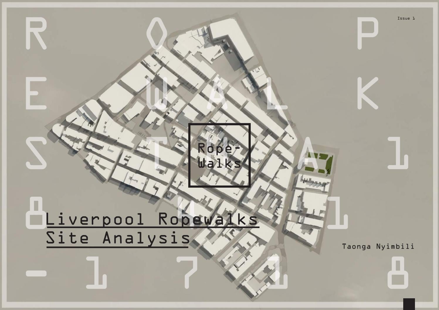 Liverpool Ropewalks Site Analysis & Project Brief by Taonga Nyimbili ...