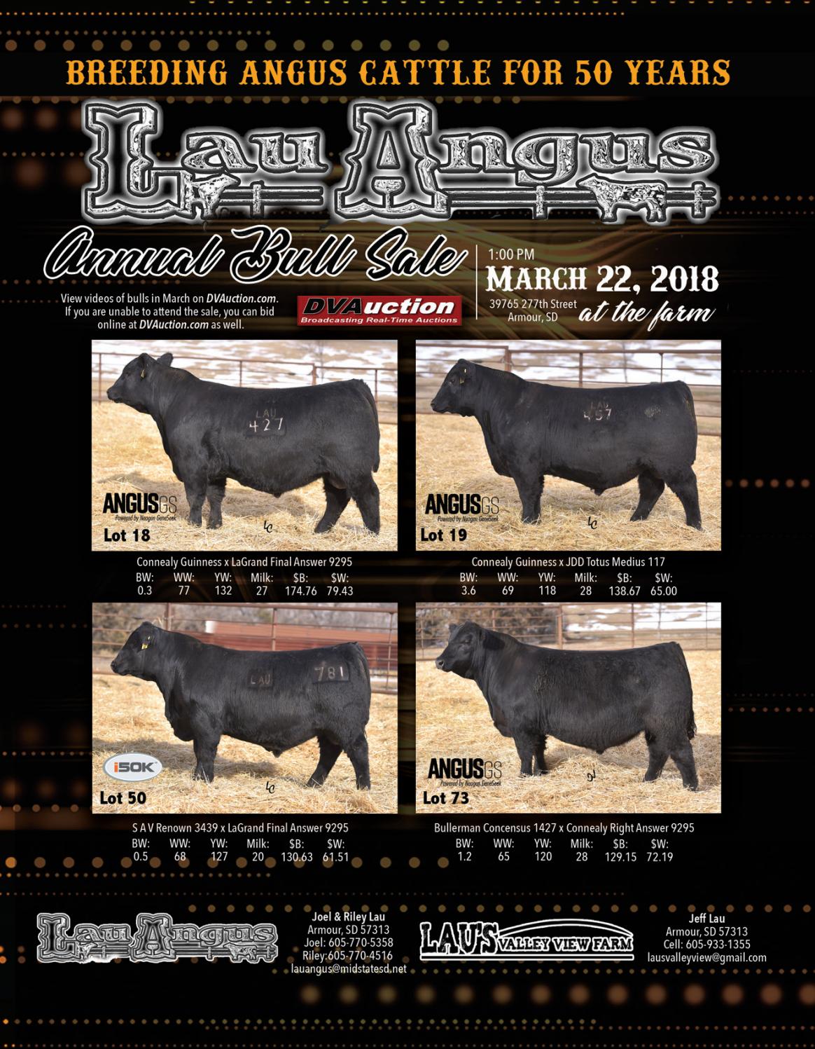 Lau Angus 2018 Bull Sale by kelsey.steinkraus - Issuu