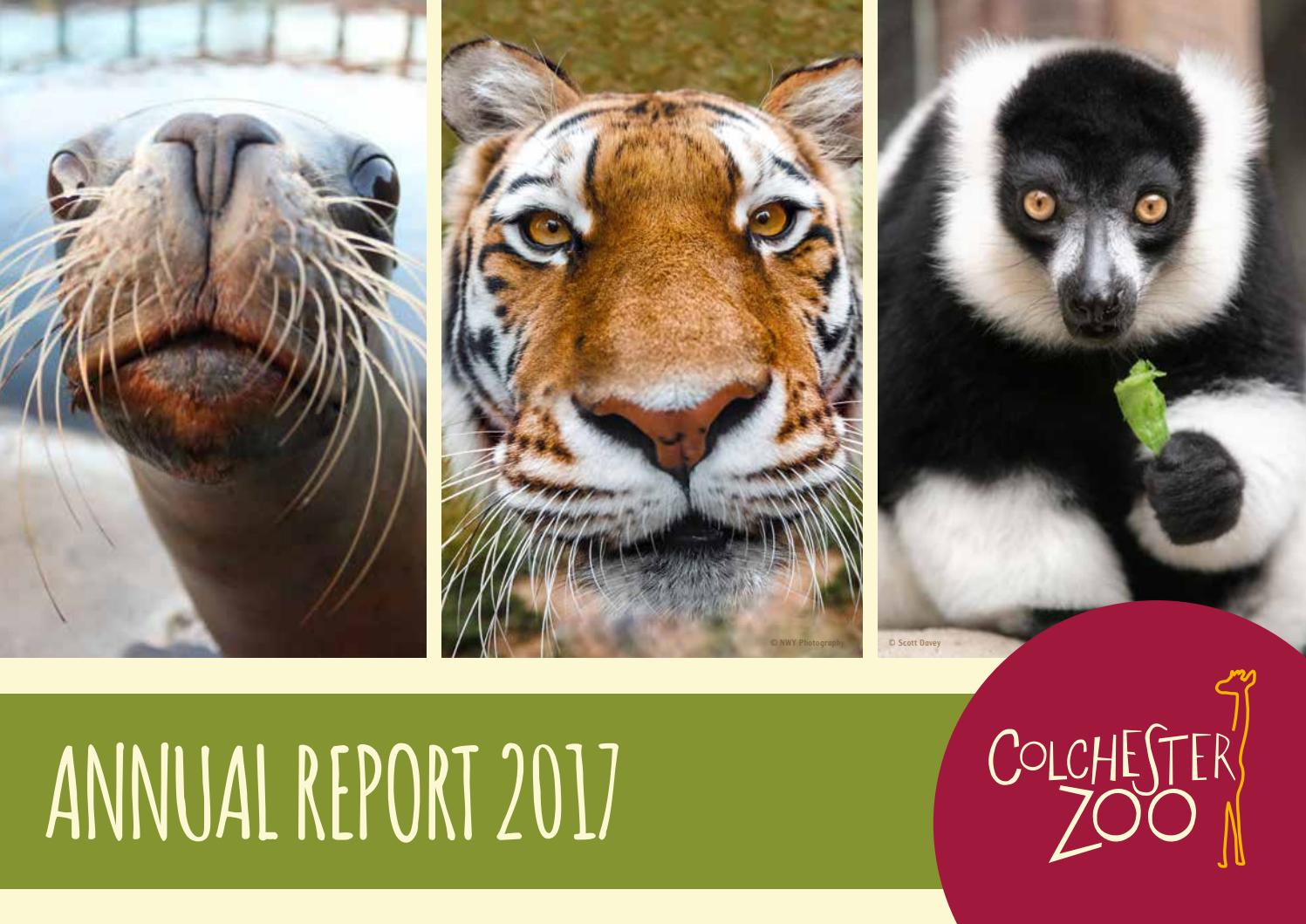 Colchester Zoo Annual Report 2017 by Colchester Zoo - Issuu