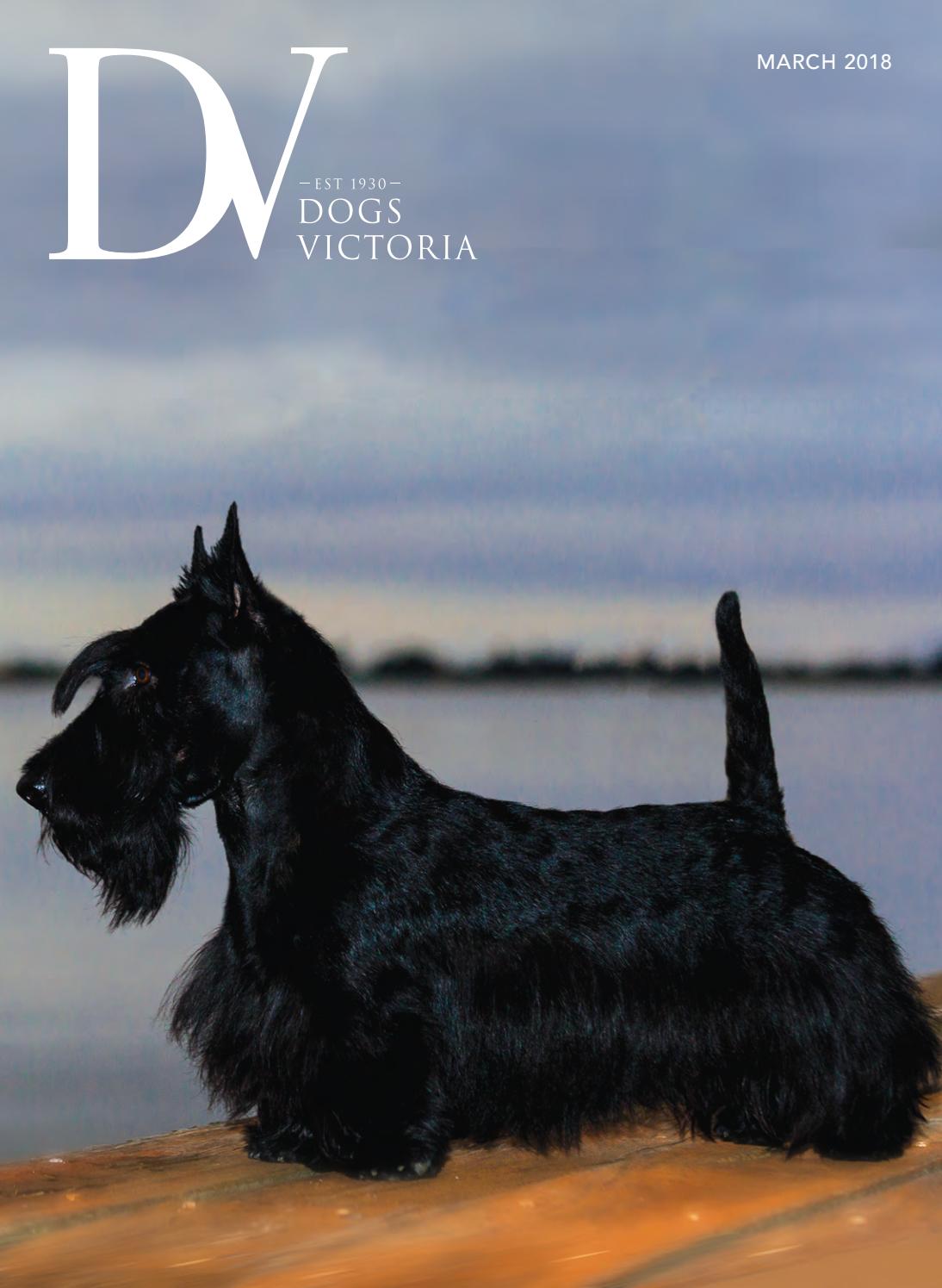 Dogs Victoria Magazine - March 2018 by Dogs Victoria - Issuu
