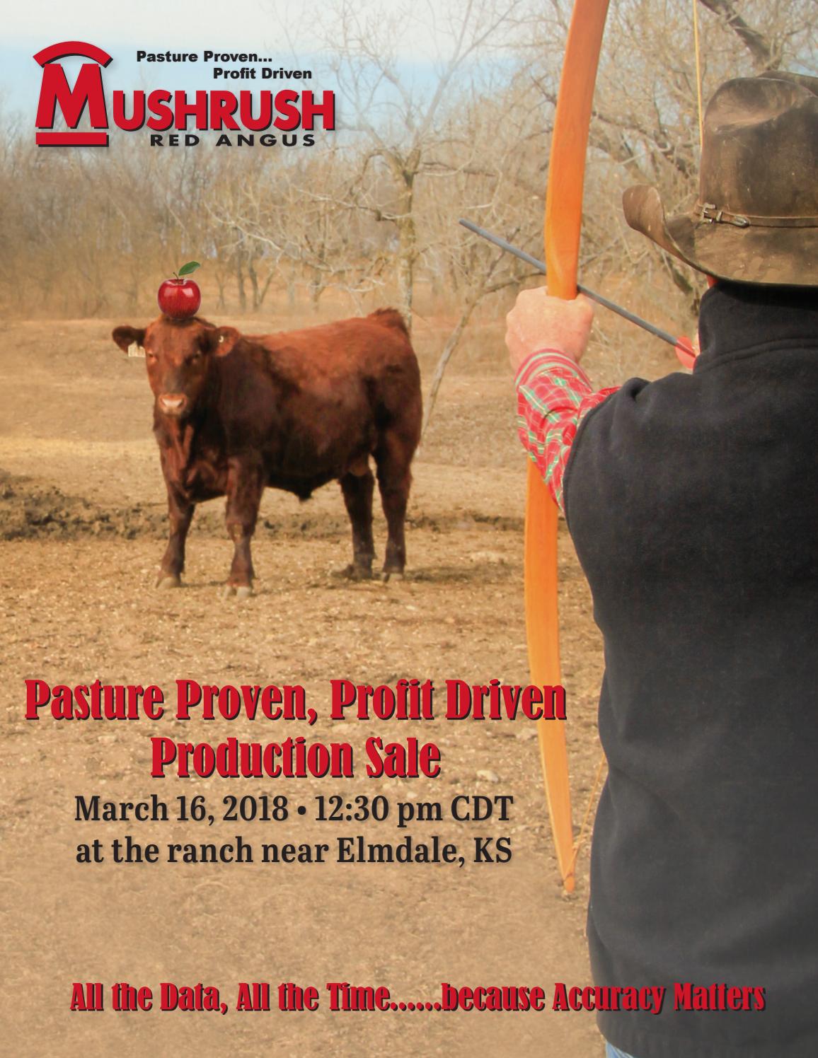 Mushrush Red Angus - 2018 Production Sale Catalog by LivestockDirect ...