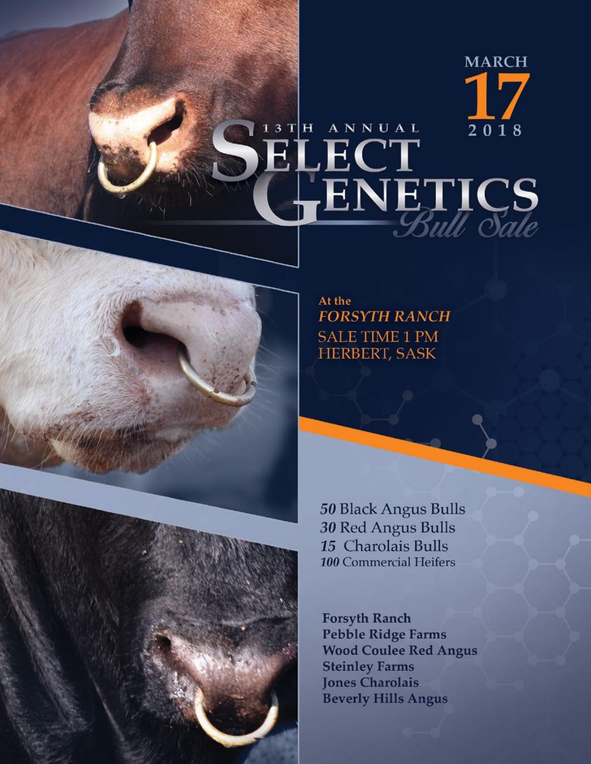 2018 Select Genetics Bull Sale by jamieraepittman - Issuu