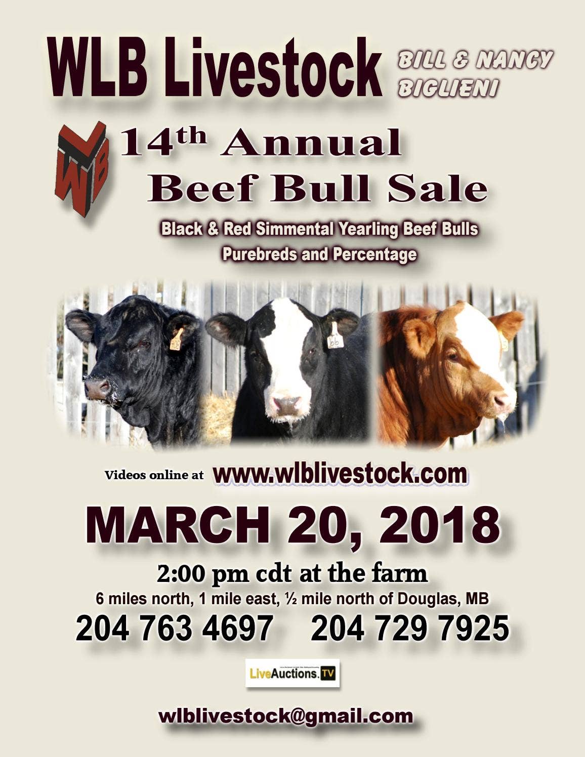 WLB Livestock 2018 Bull Sale by Today's Publishing Inc. - Issuu