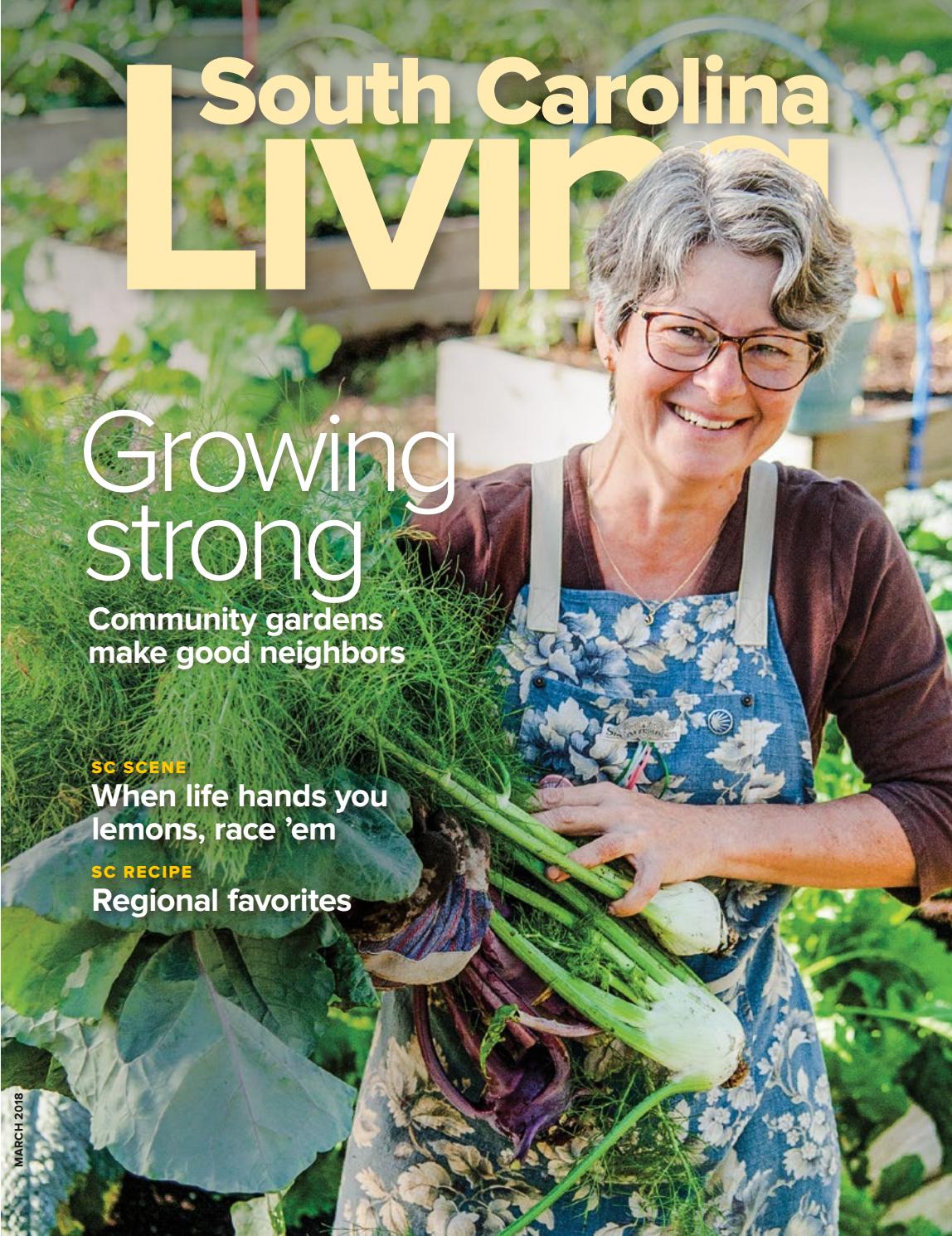 South Carolina Living March 2018 by American MainStreet Publications ...