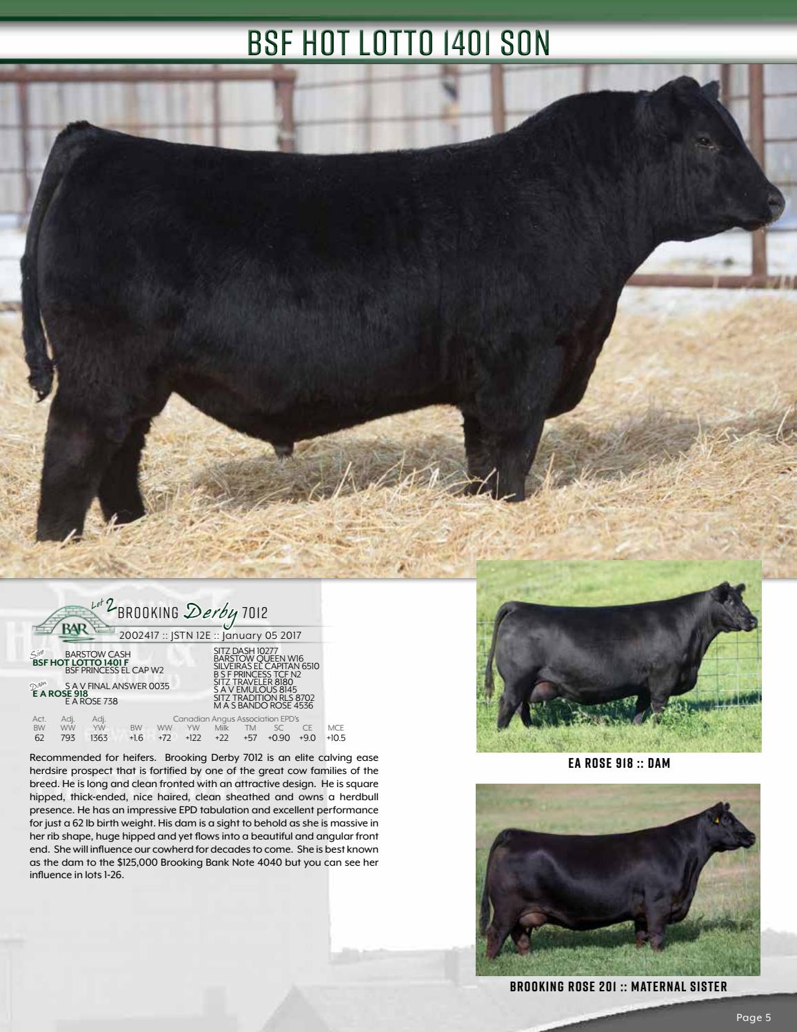 Brooking Angus Ranch 6th Annual Bull Sale by Bohrson Marketing Services ...