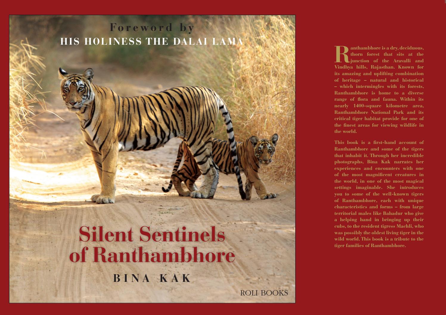 Tiger boo blad by ACC Art Books - Issuu