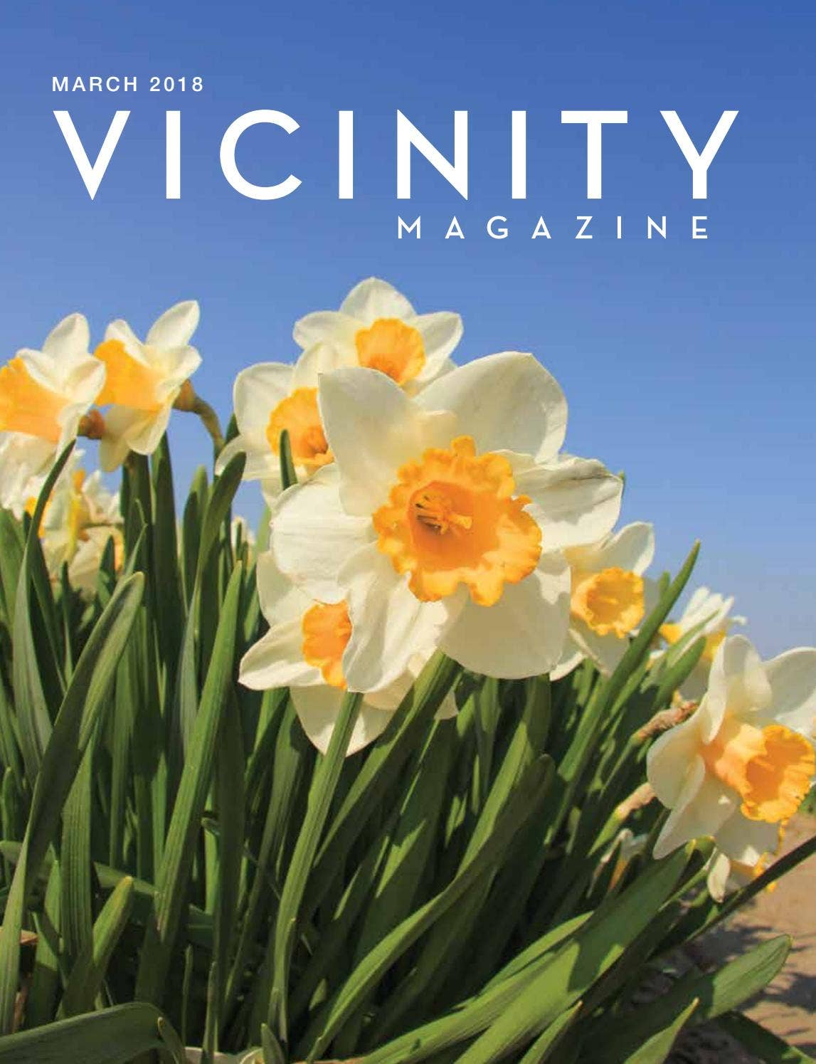 Vicinity Magazine by Vicinity Media Group - Issuu