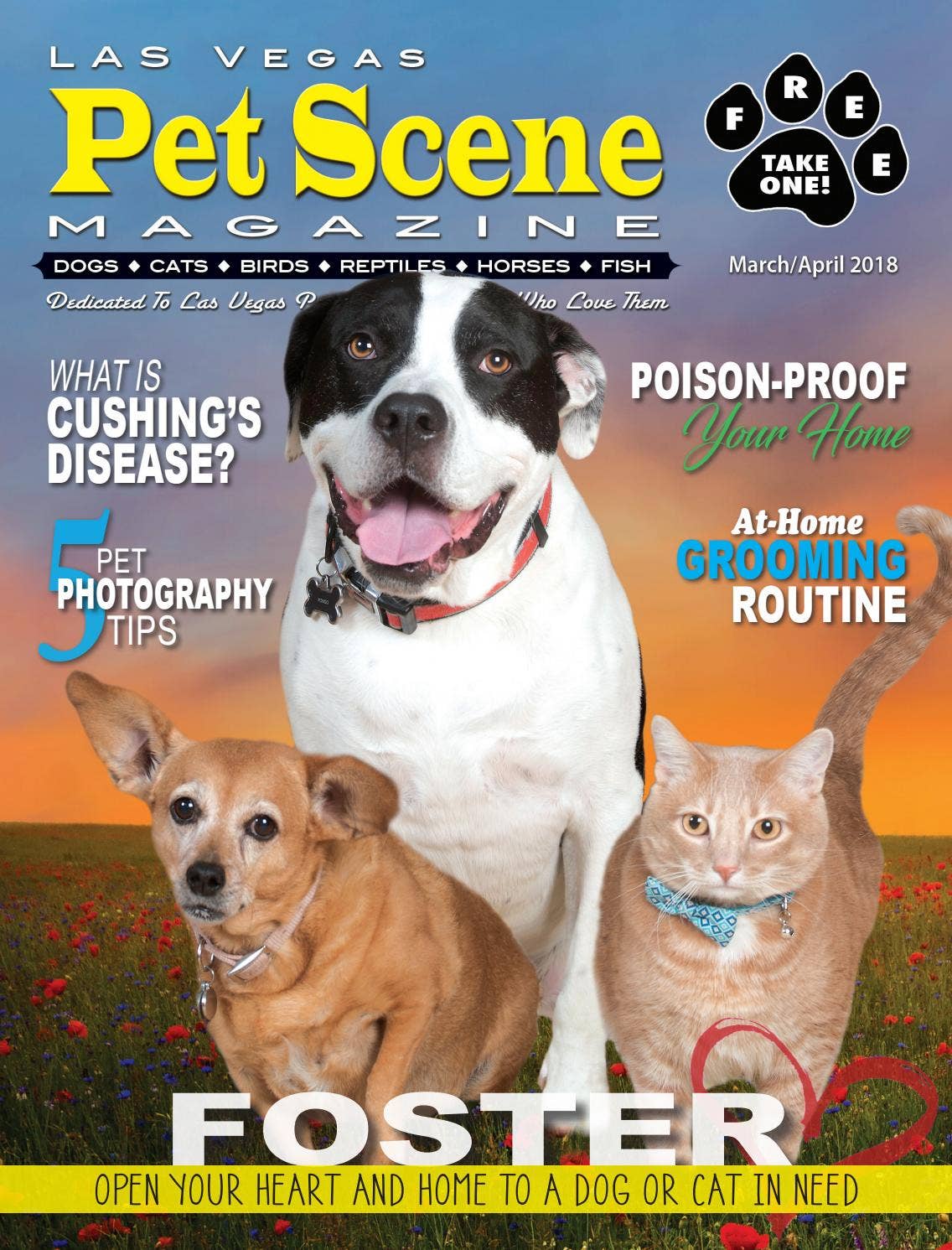 Las Vegas Pet Scene Magazine – March/April 2018 by Homes Illustrated/LV ...