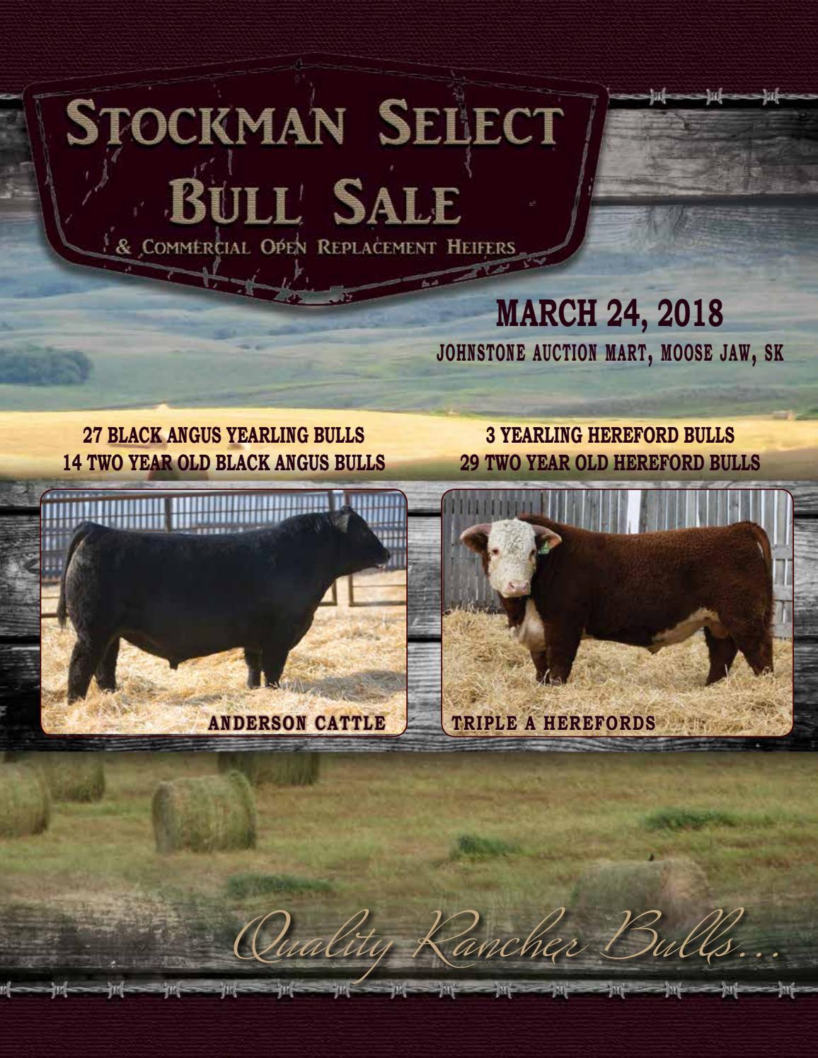 Stockman Select Bull Sale 2018 by Bohrson Marketing Services Ltd. - Issuu